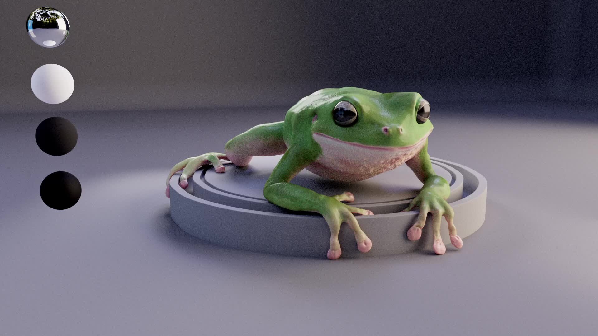 ArtStation - CG Frog turnaround