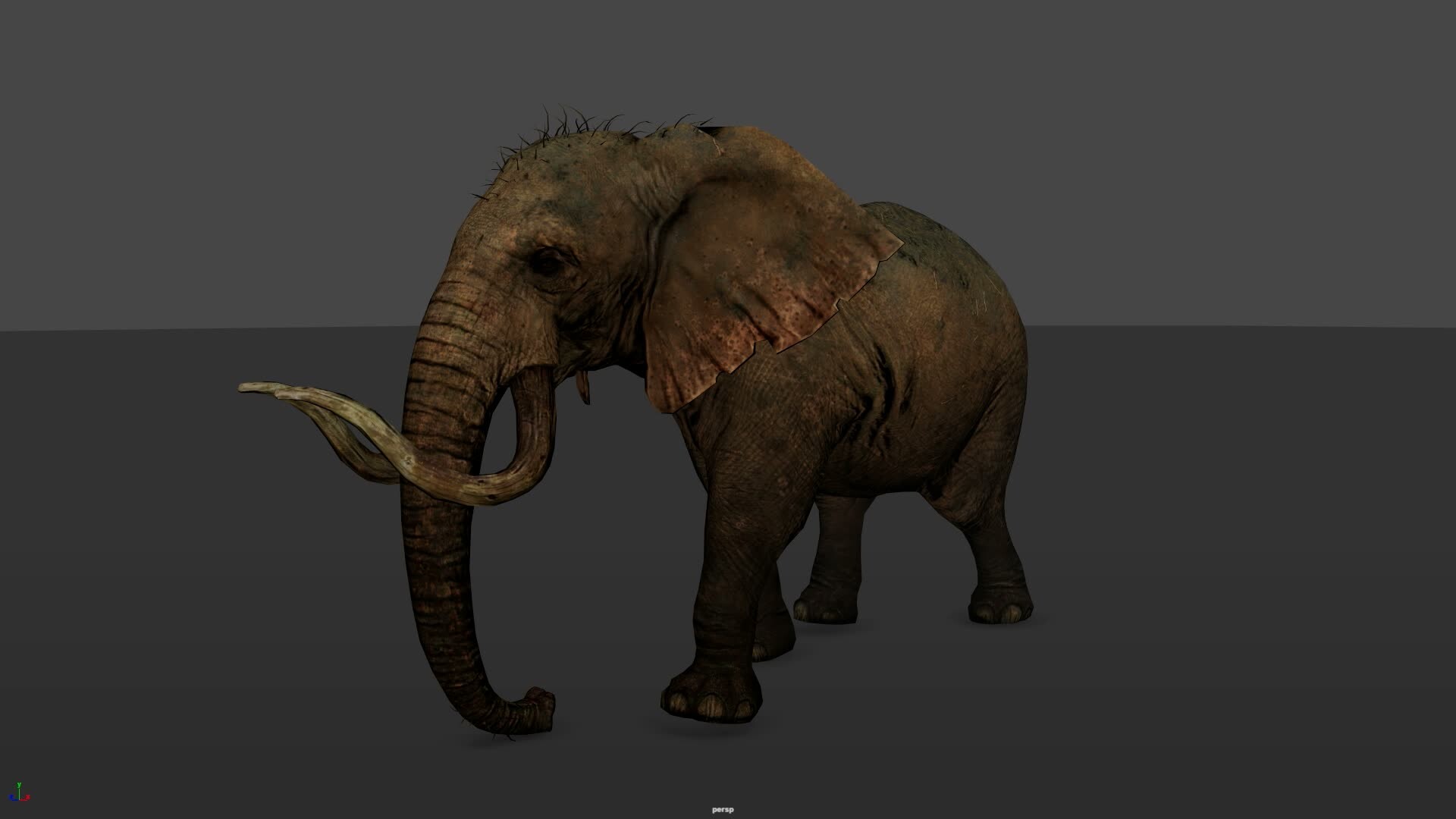 ArtStation - Elephant Walk Cycle