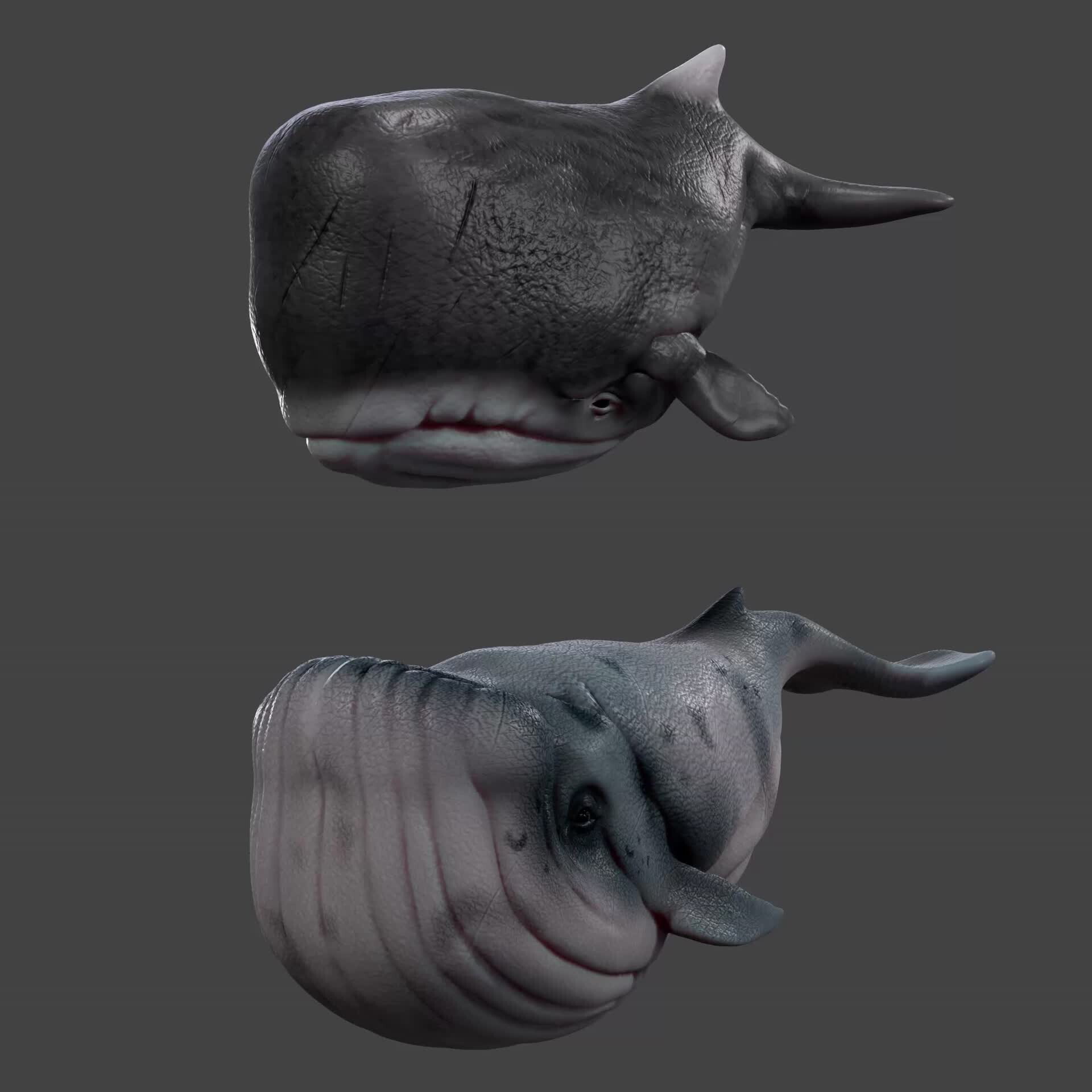 ArtStation - cartoon whales