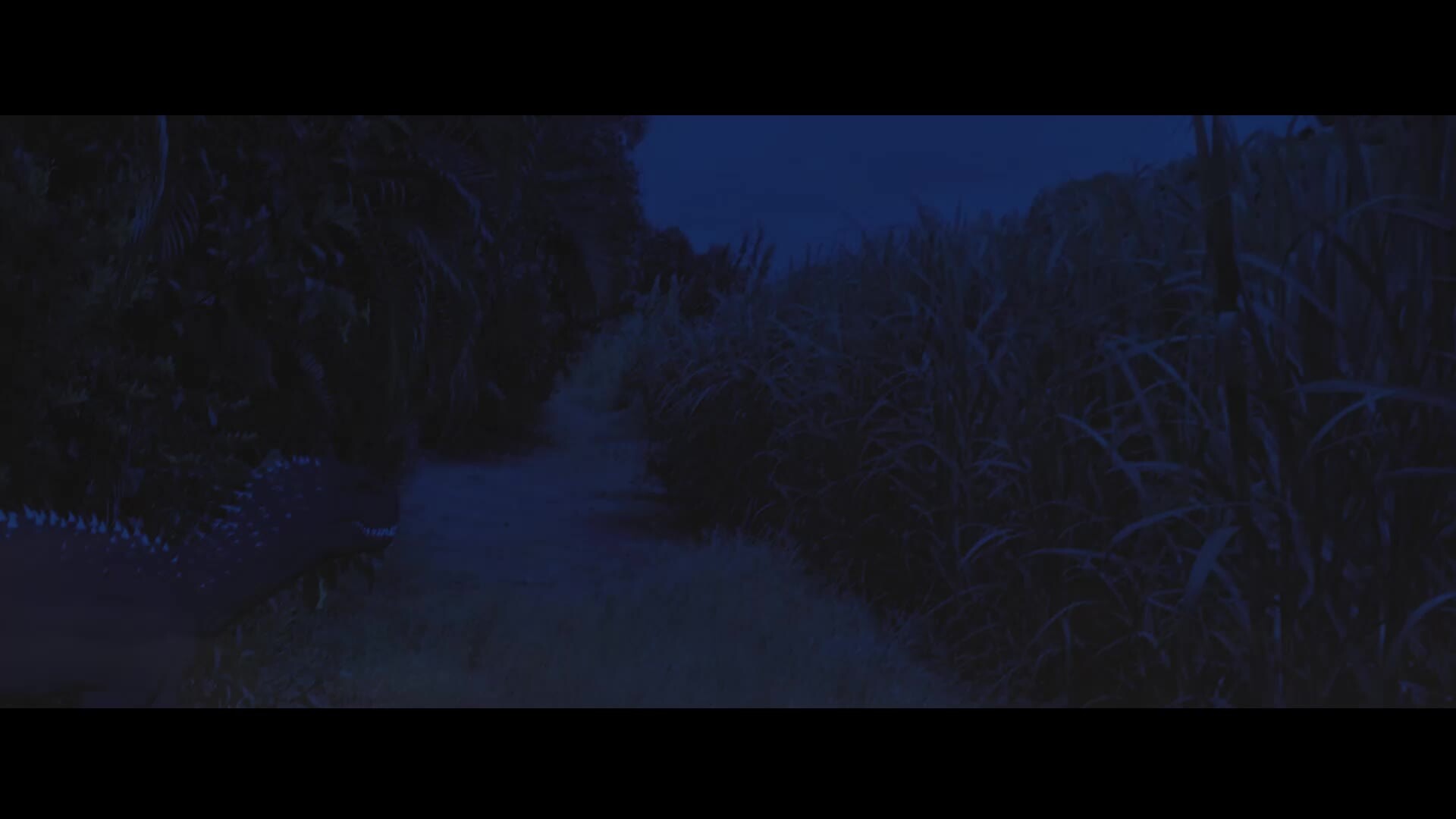 ArtStation - CAT - Four Legged Rig