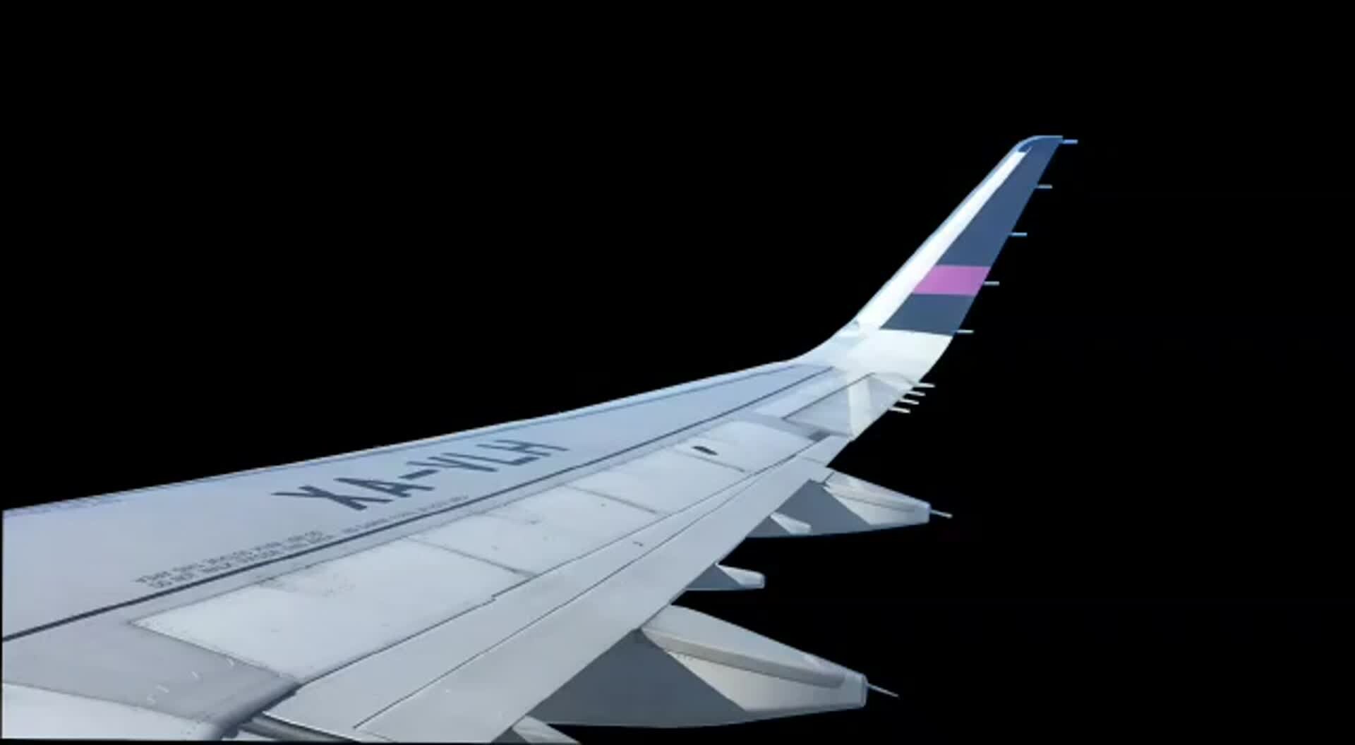 ArtStation - rotoscope