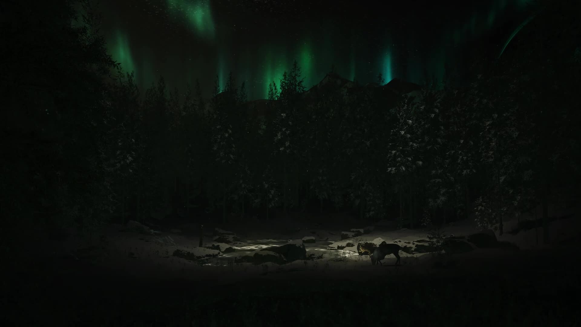 ArtStation - Arctic Night