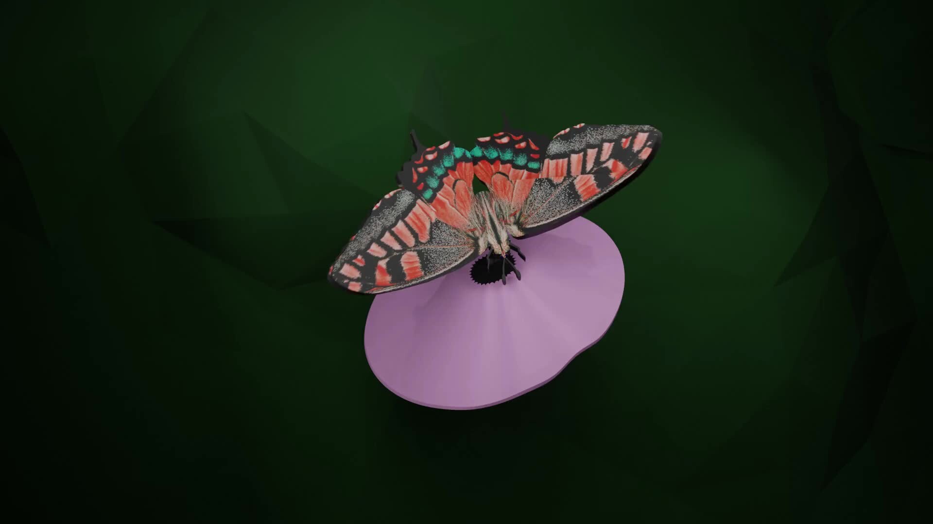 ArtStation - Butterfly animation