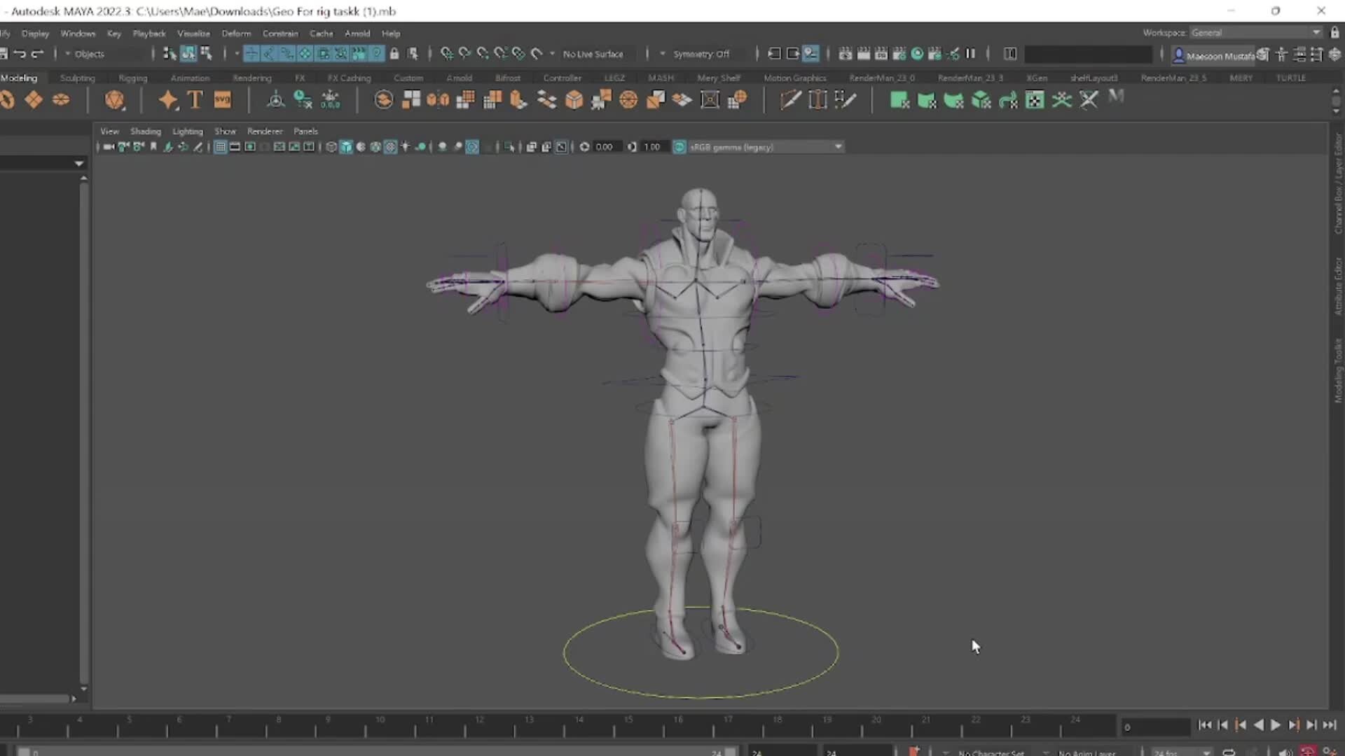 ArtStation - character rigging