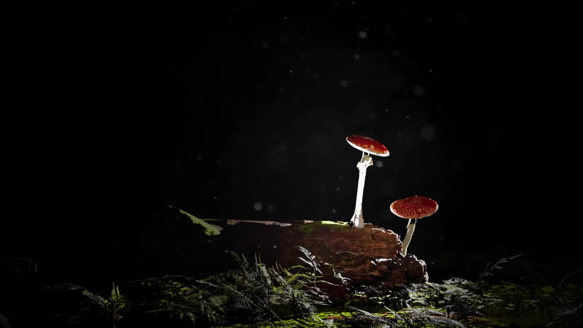 ArtStation - Mushroom spores