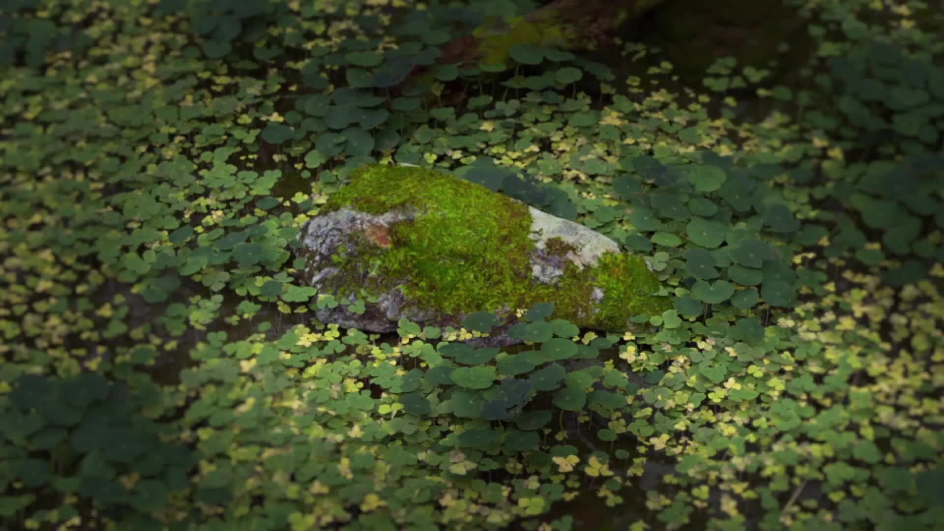 ArtStation - mushroom growth