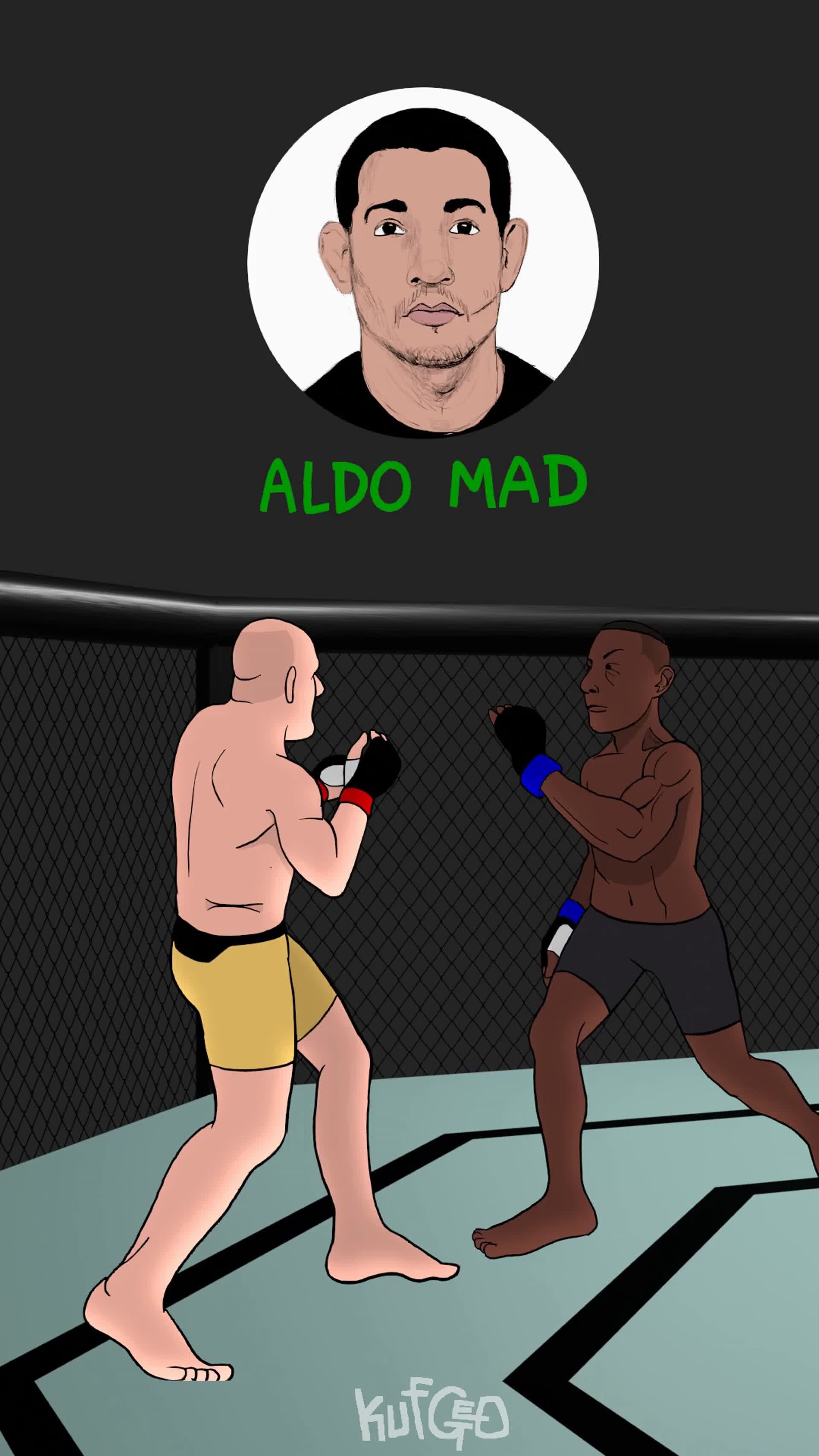 ArtStation - UFC 283 animated highlights | kuf geo