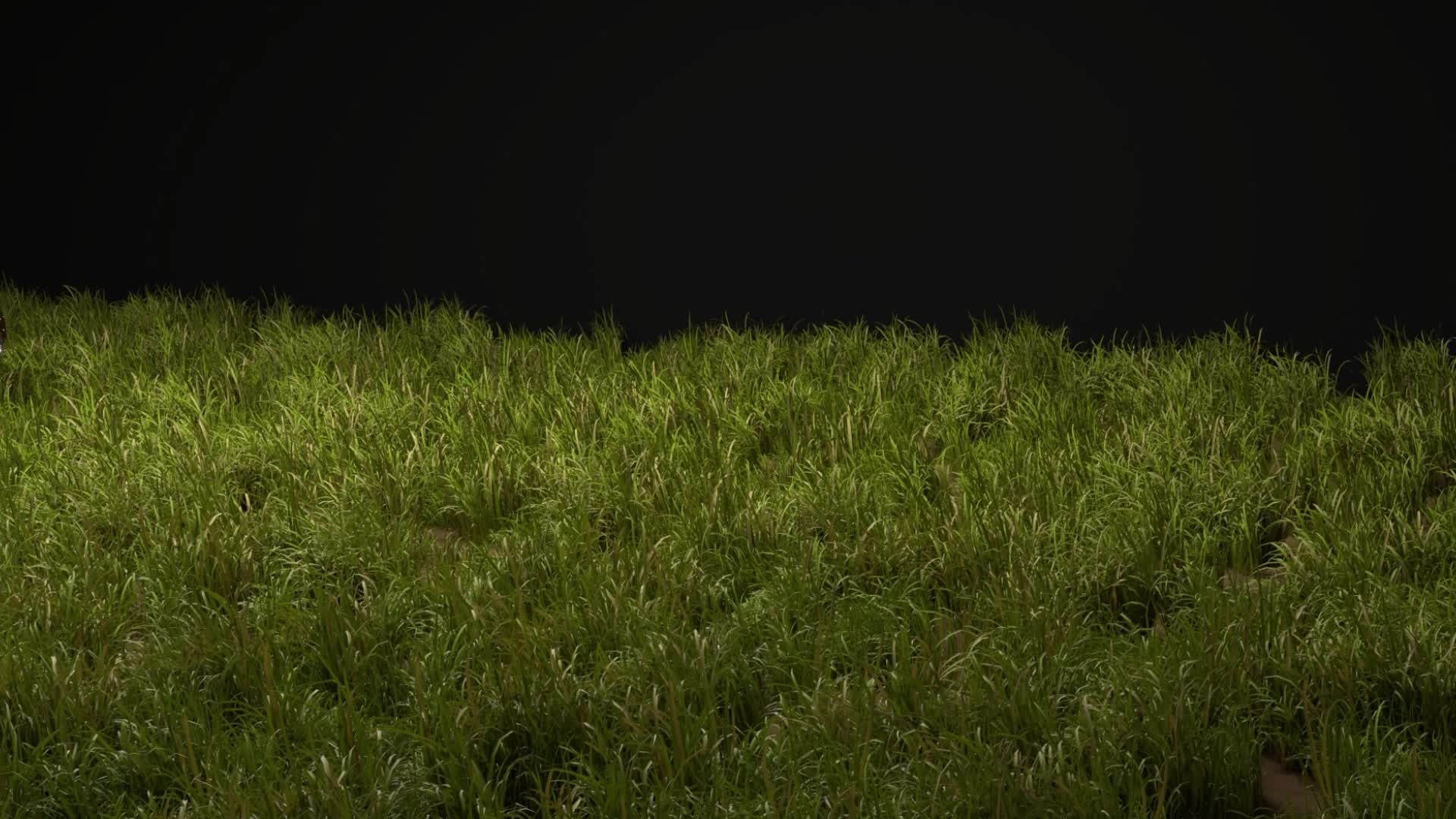 ArtStation - Grass Growing in Car