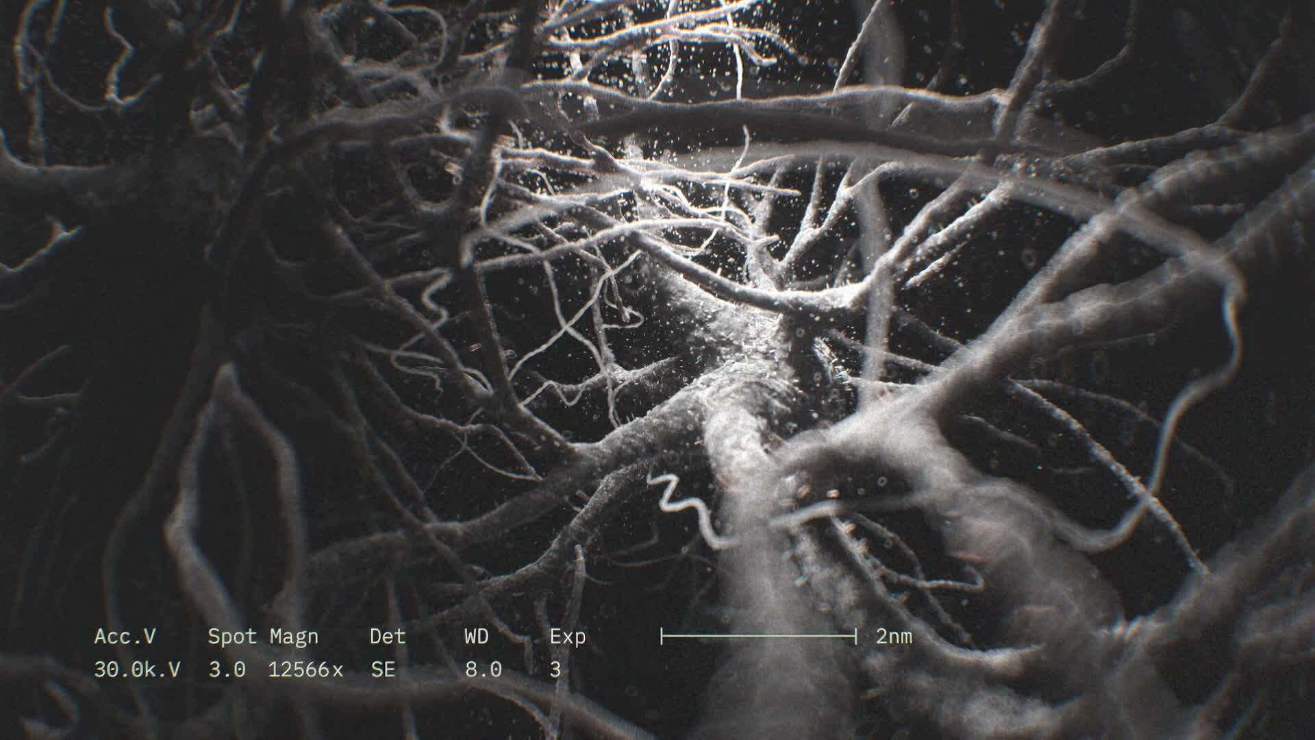 ArtStation - Neuron animation. Medical.