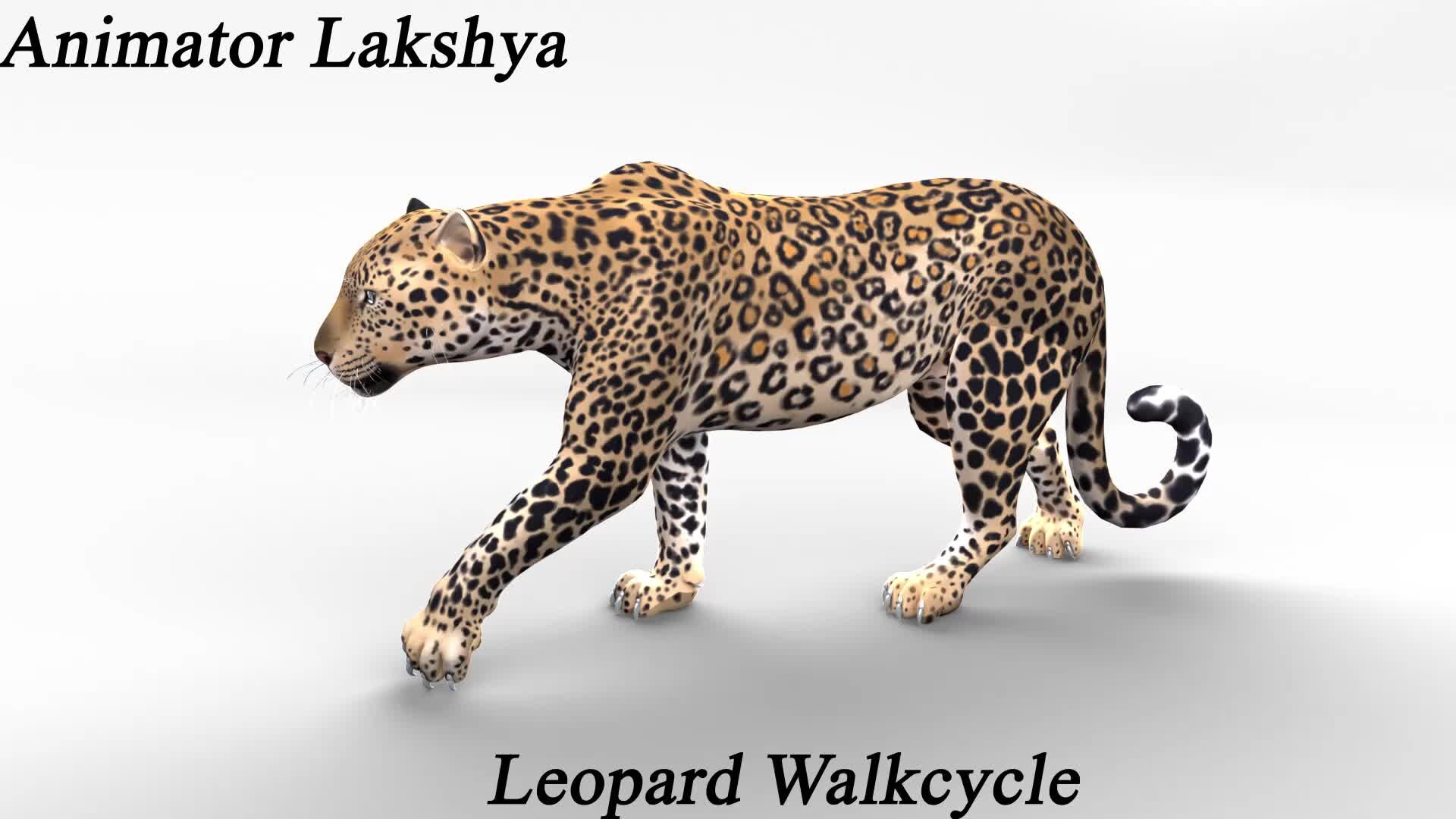 ArtStation - Leopard Walkcycle 3D animation