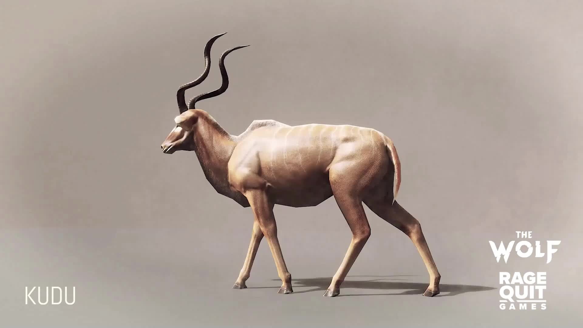 ArtStation - Kudu | Feb.2022