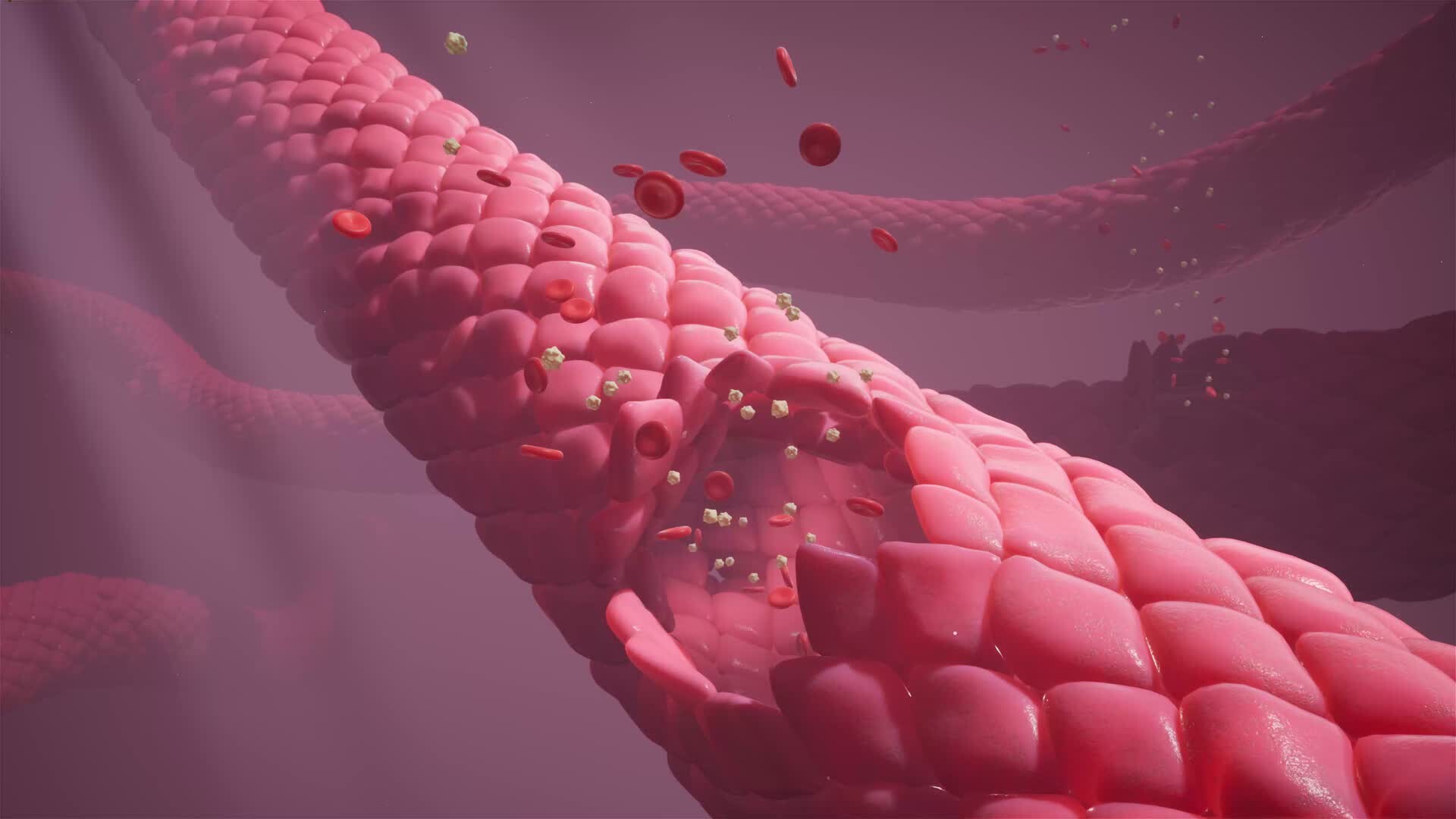 ArtStation - UE5-Cells