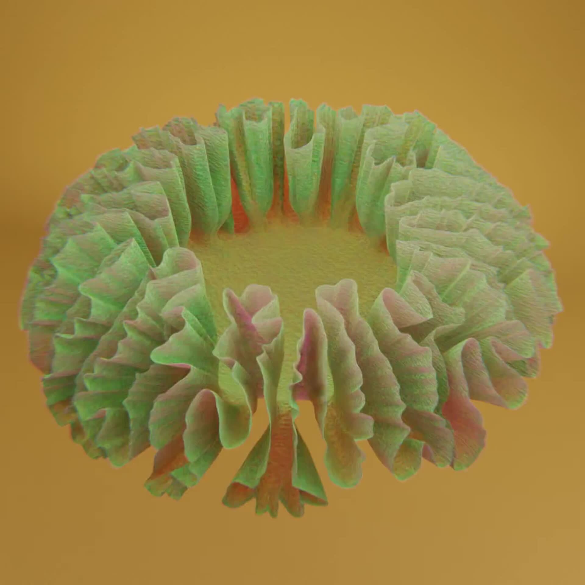 ArtStation - Differential Growth Looping Video Example