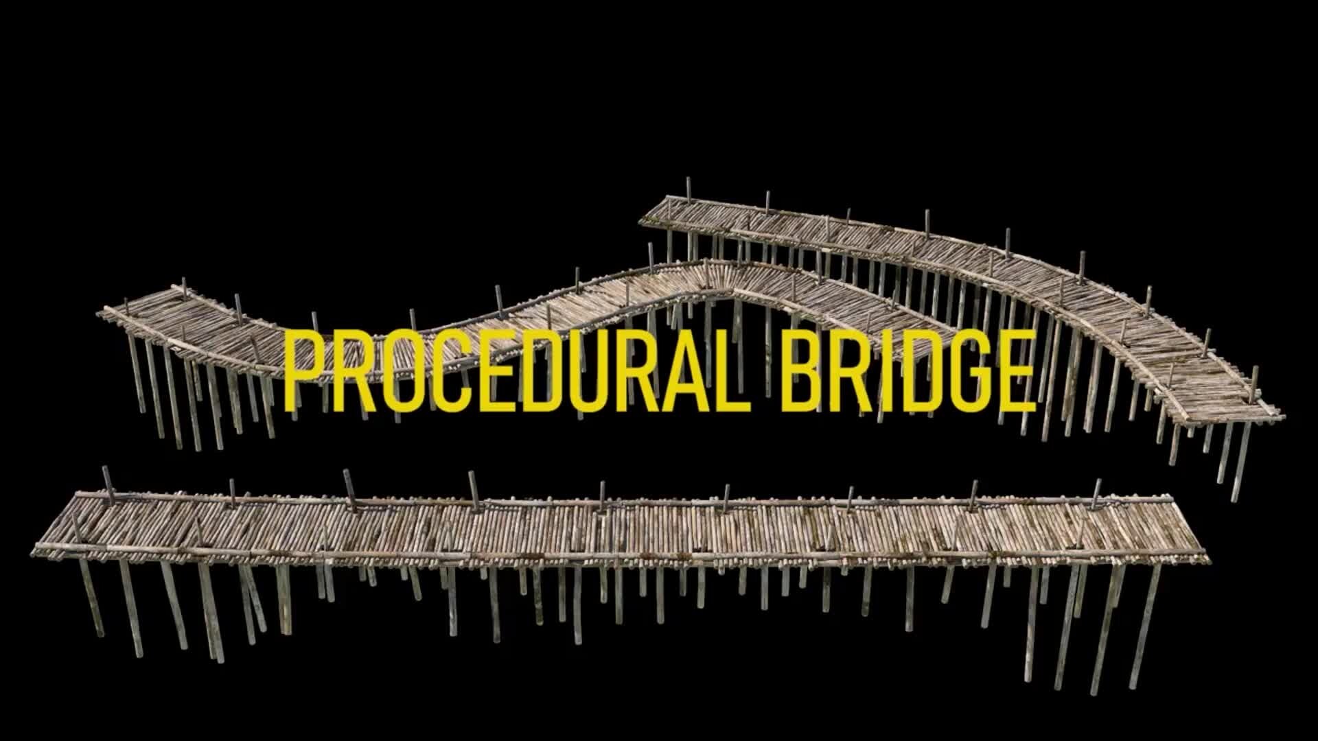 Park hyebin - Procedural bridge