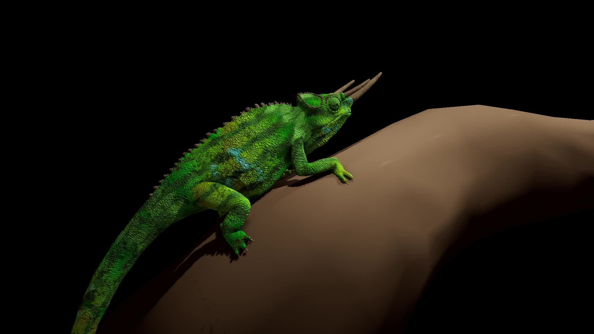 ArtStation - Wampole - Chameleon Animation