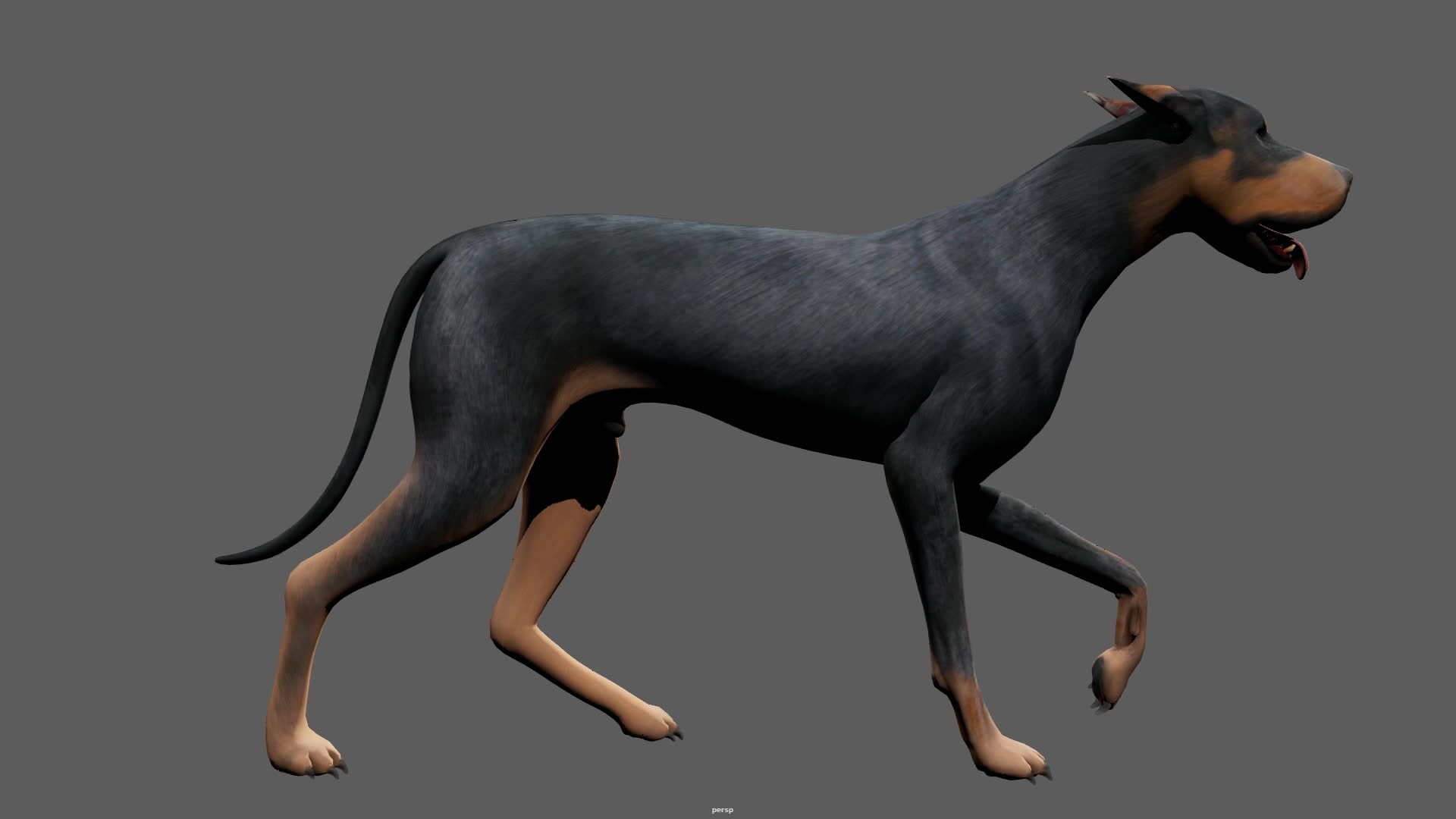 ArtStation - Dog cycles - Exercise