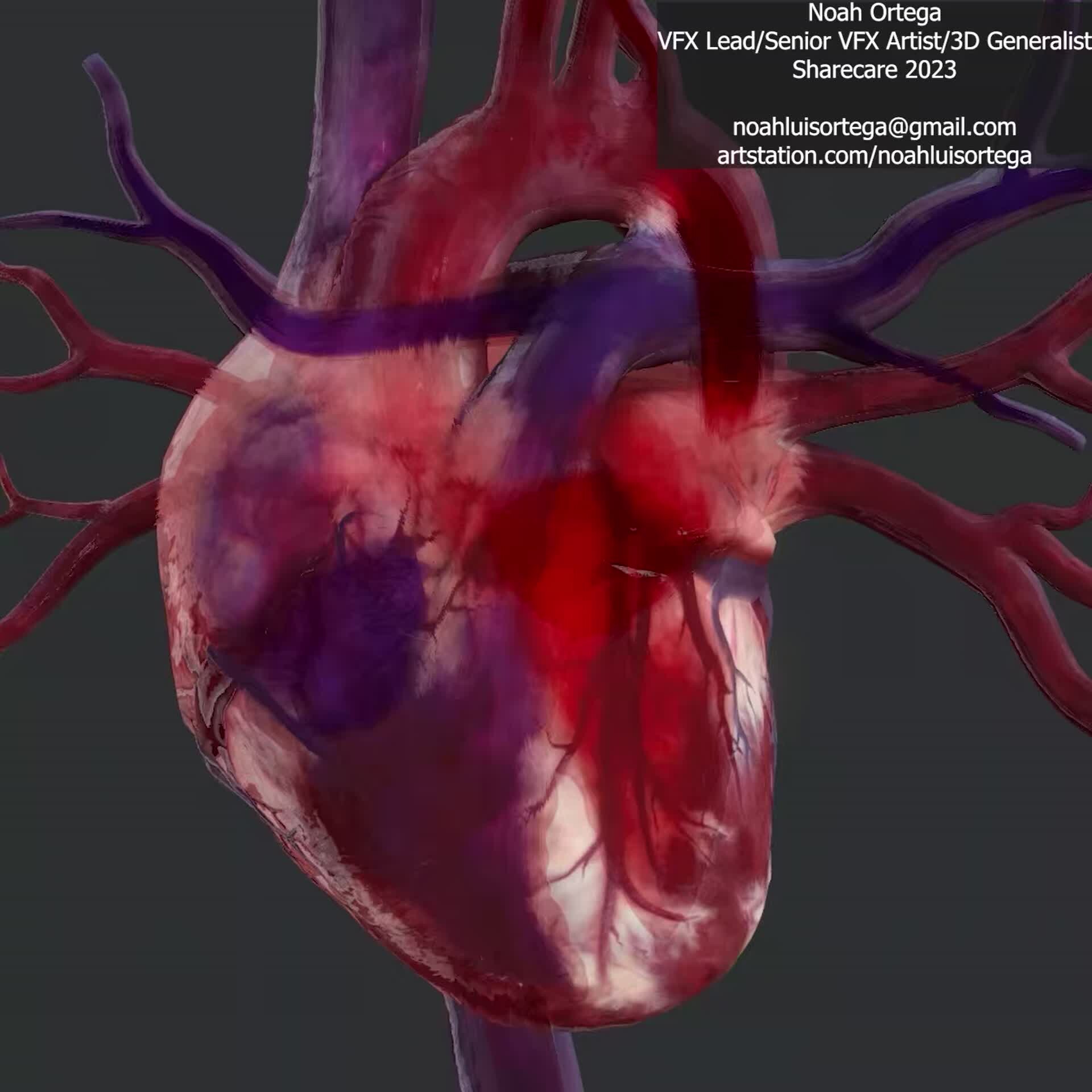 ArtStation - Sharecare Heart Bloodflow Fluid VFX