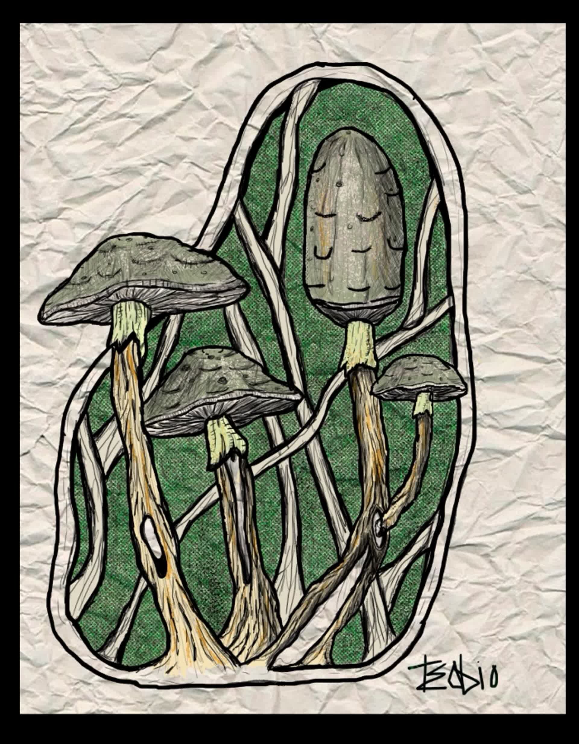 ArtStation - Mushroom animation / draw