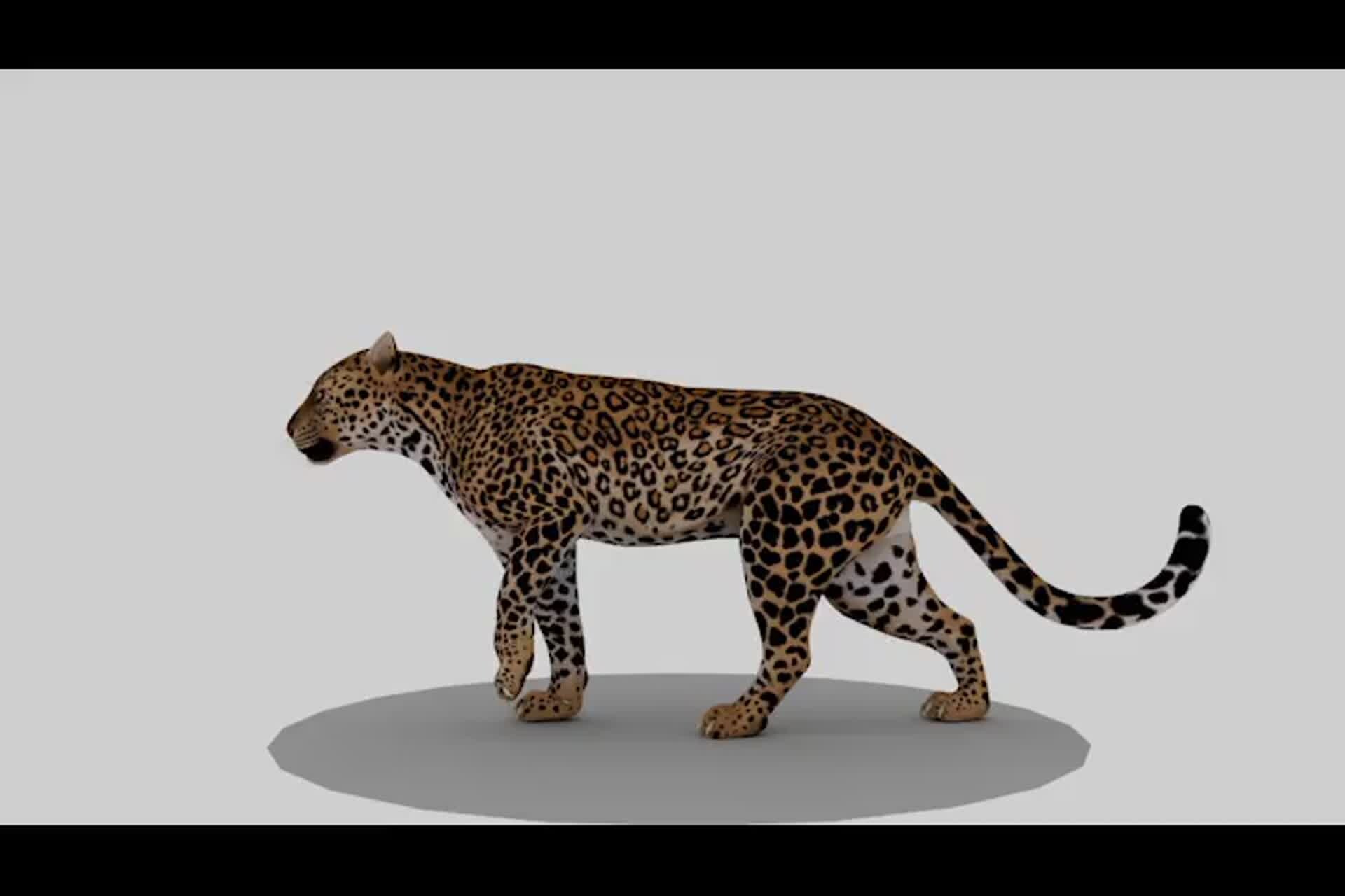 ArtStation - Leopard Walk Cycle