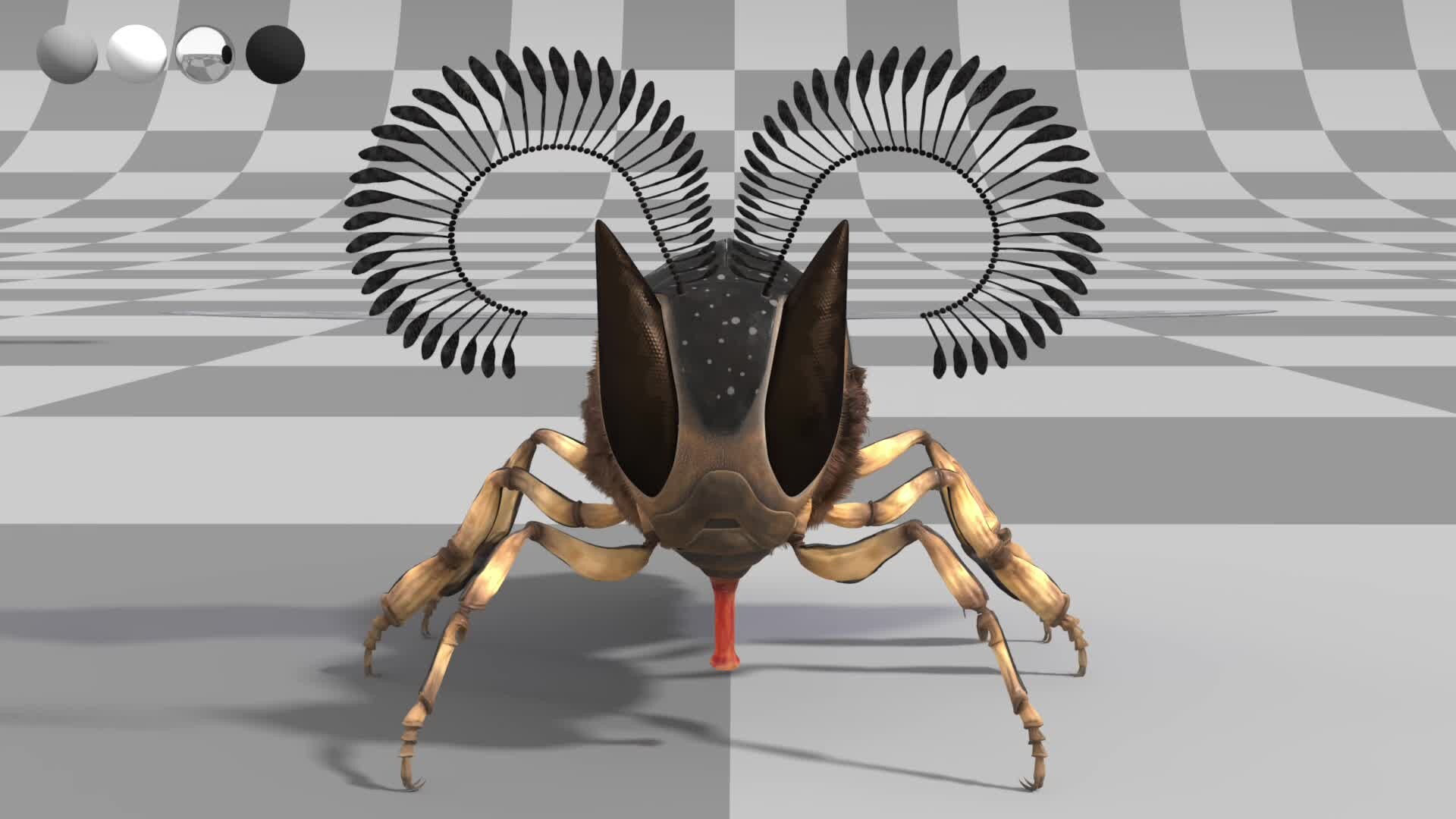 ArtStation - Turn insect