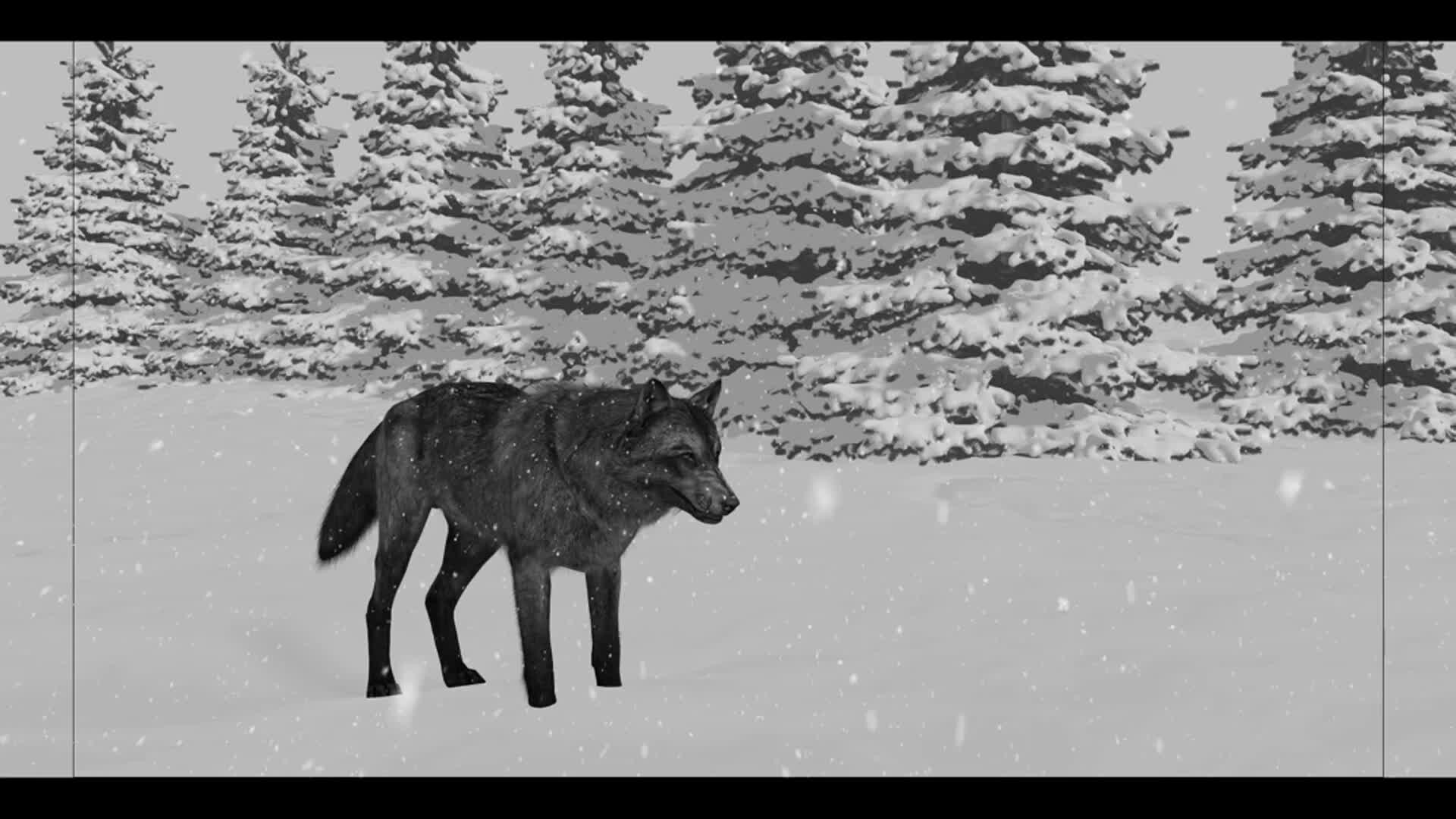 ArtStation - Wolf_Animation