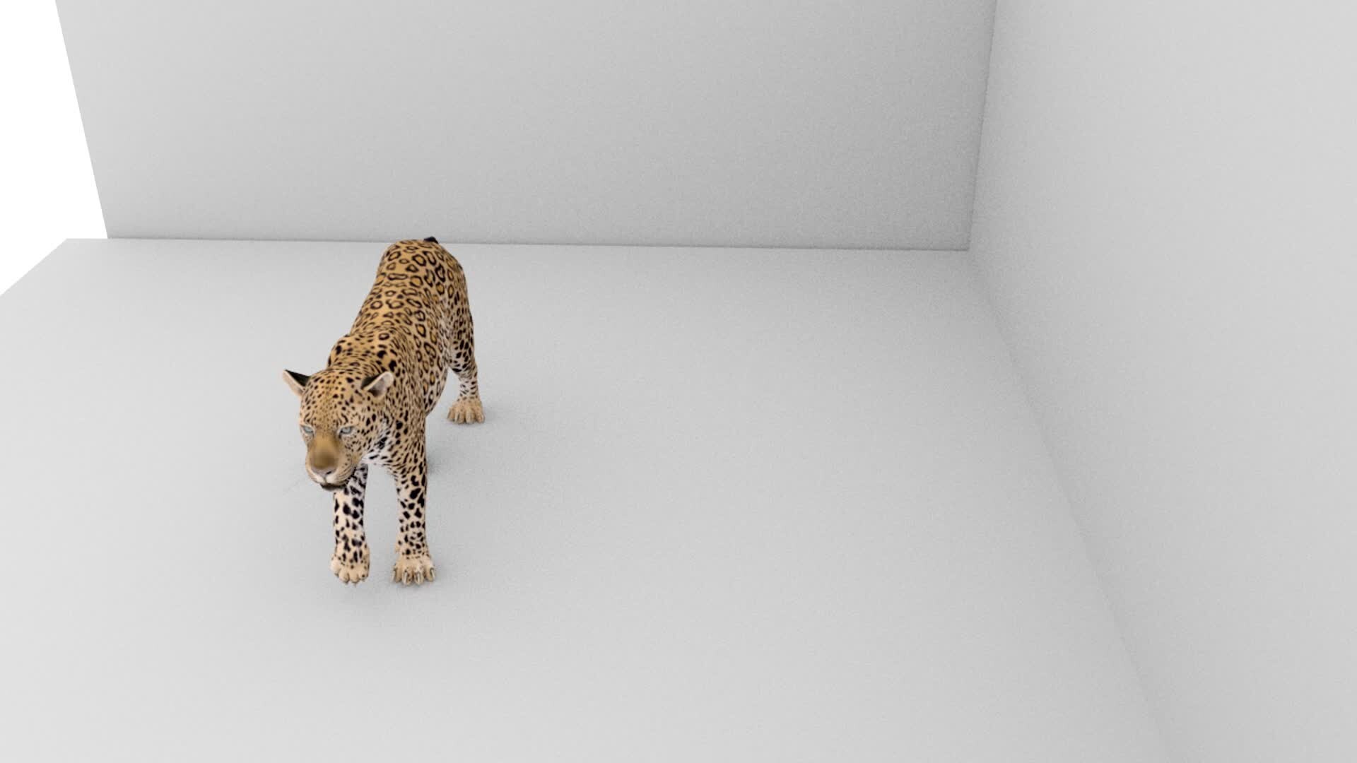 ArtStation - Leopard_animation