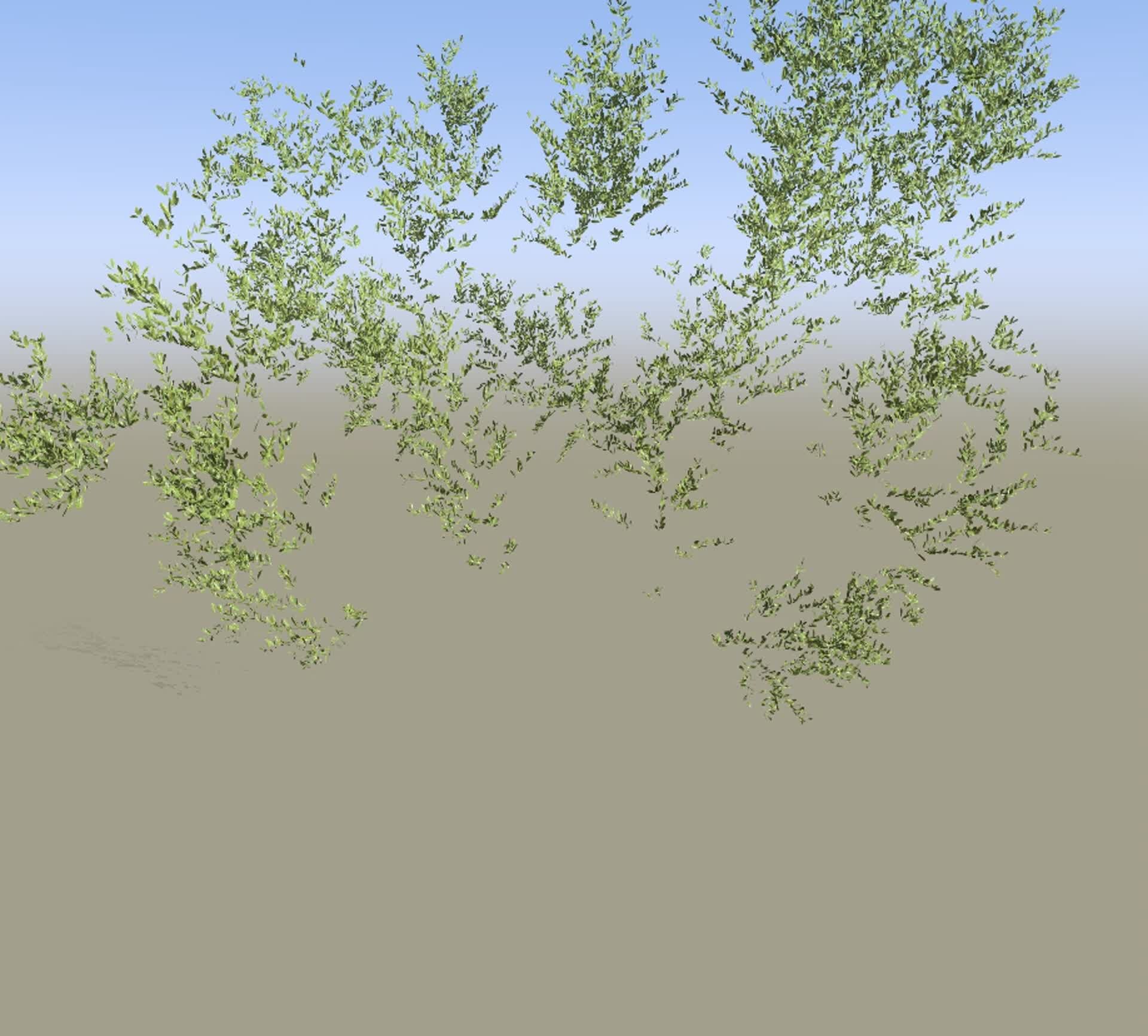 ArtStation - Growing tree animation