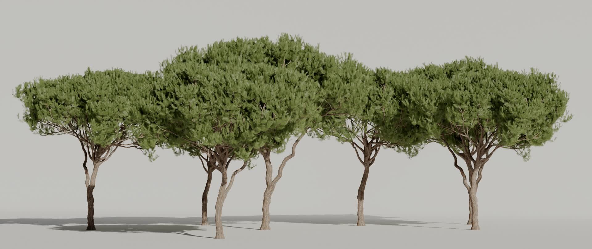 ArtStation - Technical Practice - Trees