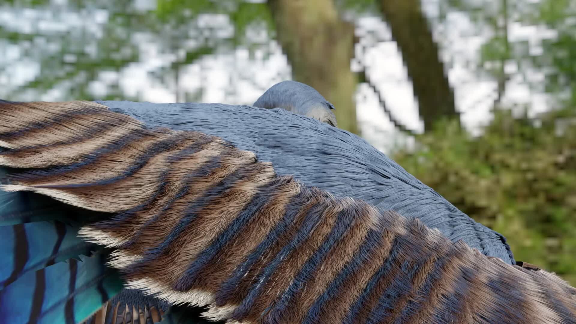 ArtStation - BLU JAY BIRD (W.I.P.)