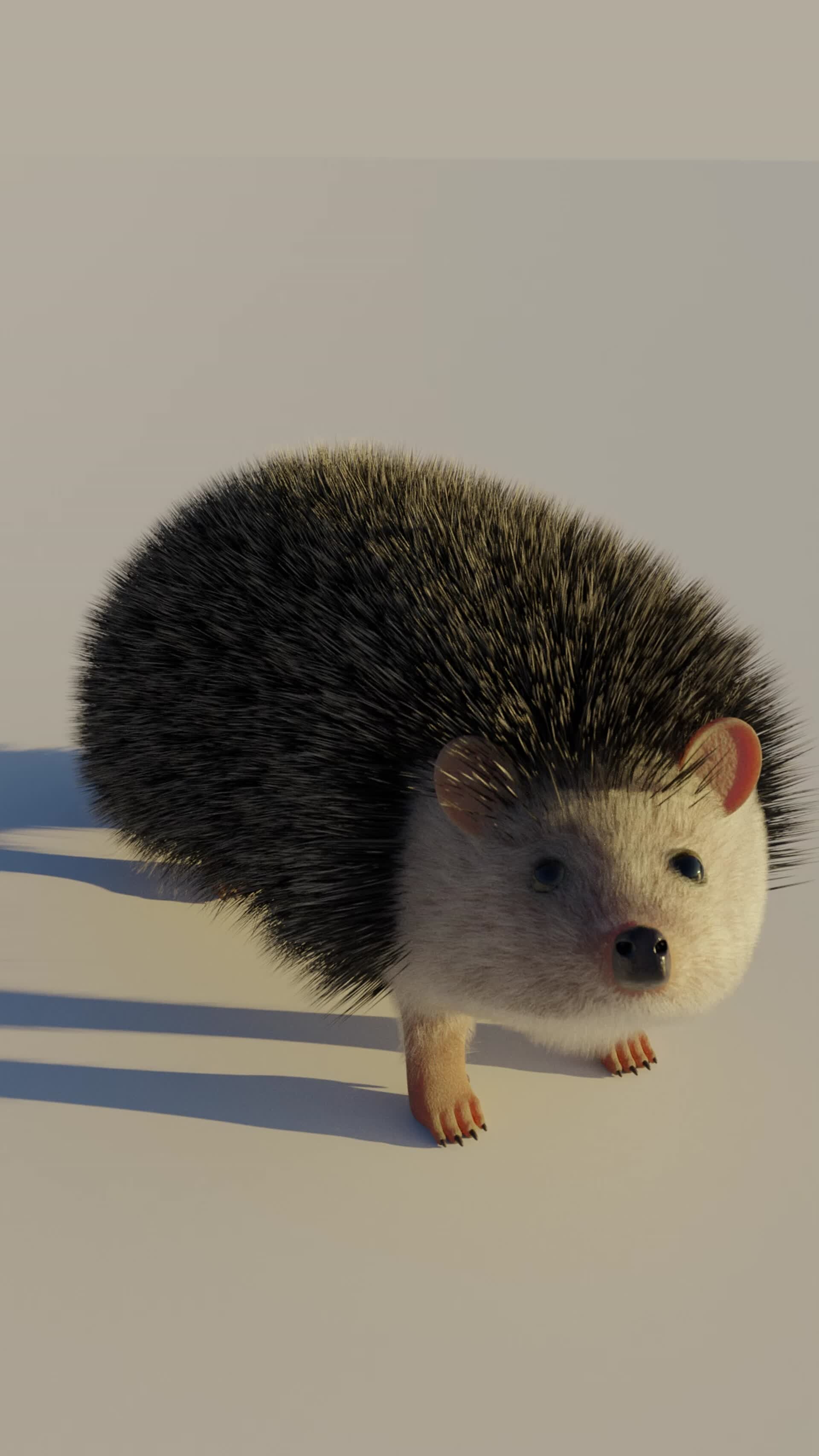 ArtStation - Hedgehog