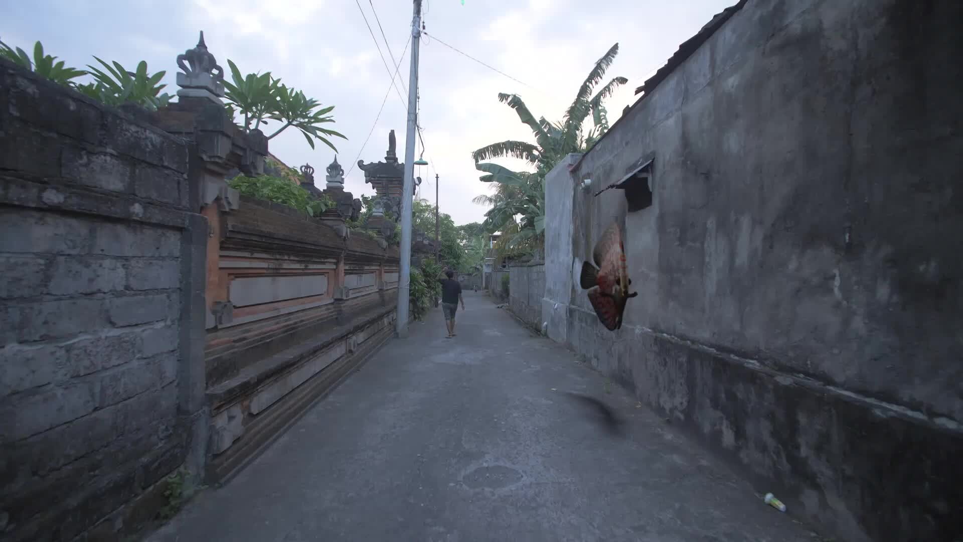 ArtStation - Integration practice