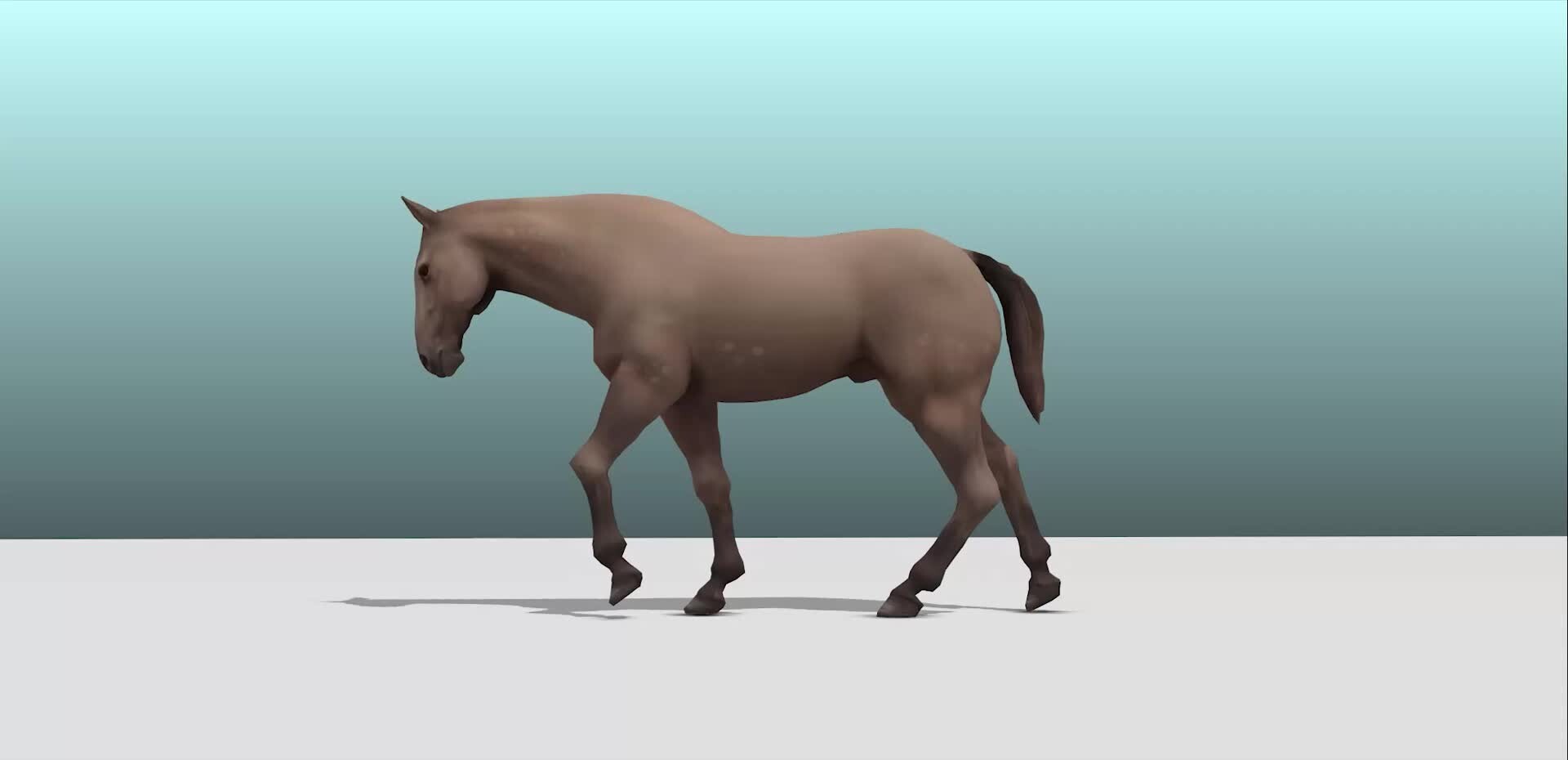 ArtStation - Creature Animation Cycles - Horse walk, trot, canter and ...