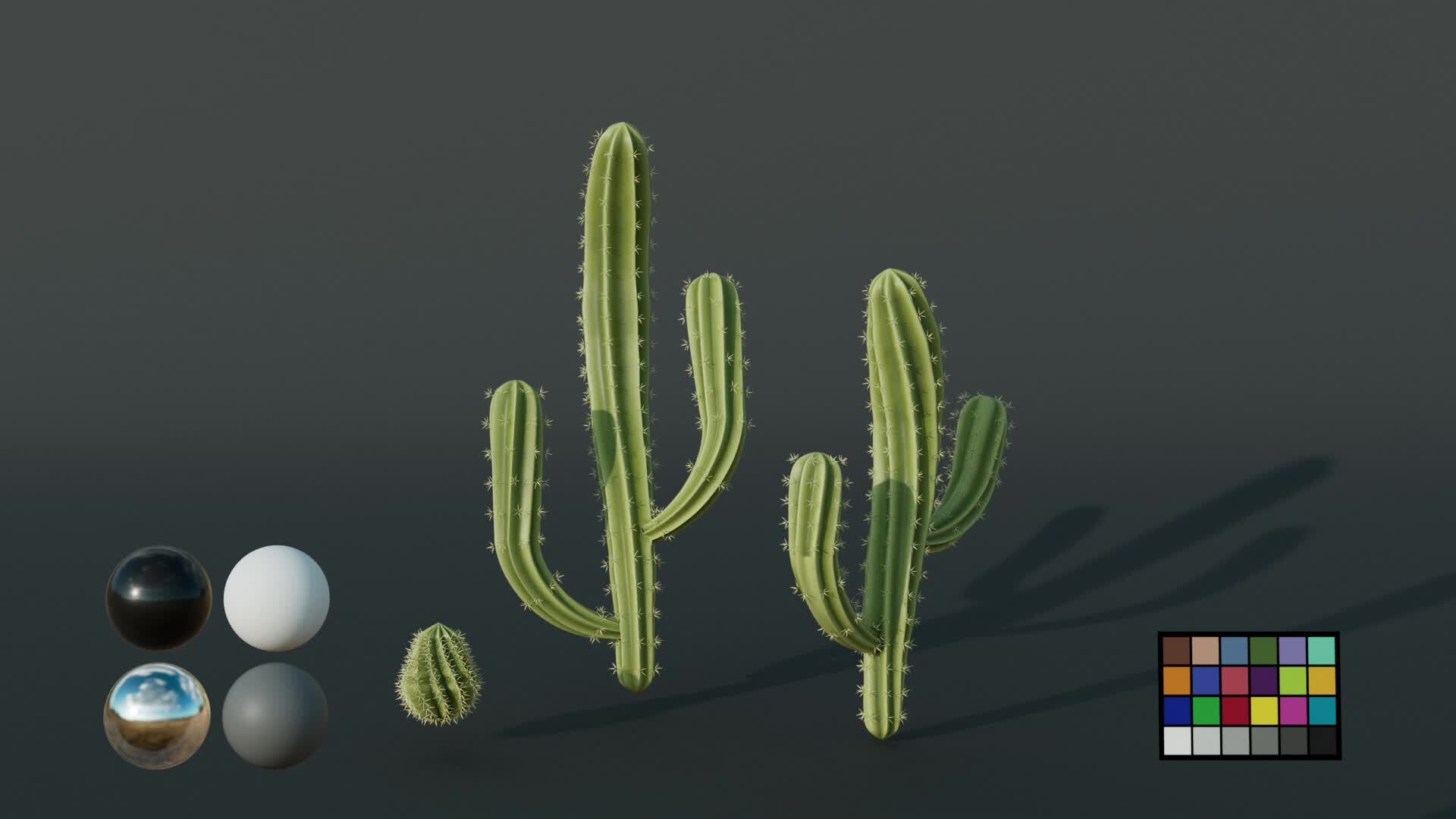 ArtStation - Procedural Cactus HDA