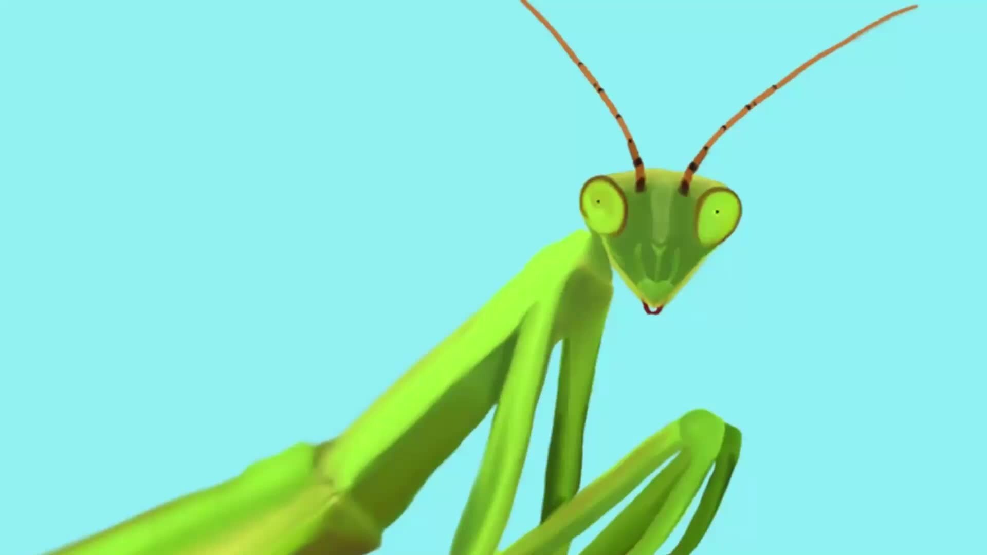 ArtStation - Animated Prayer Mantis