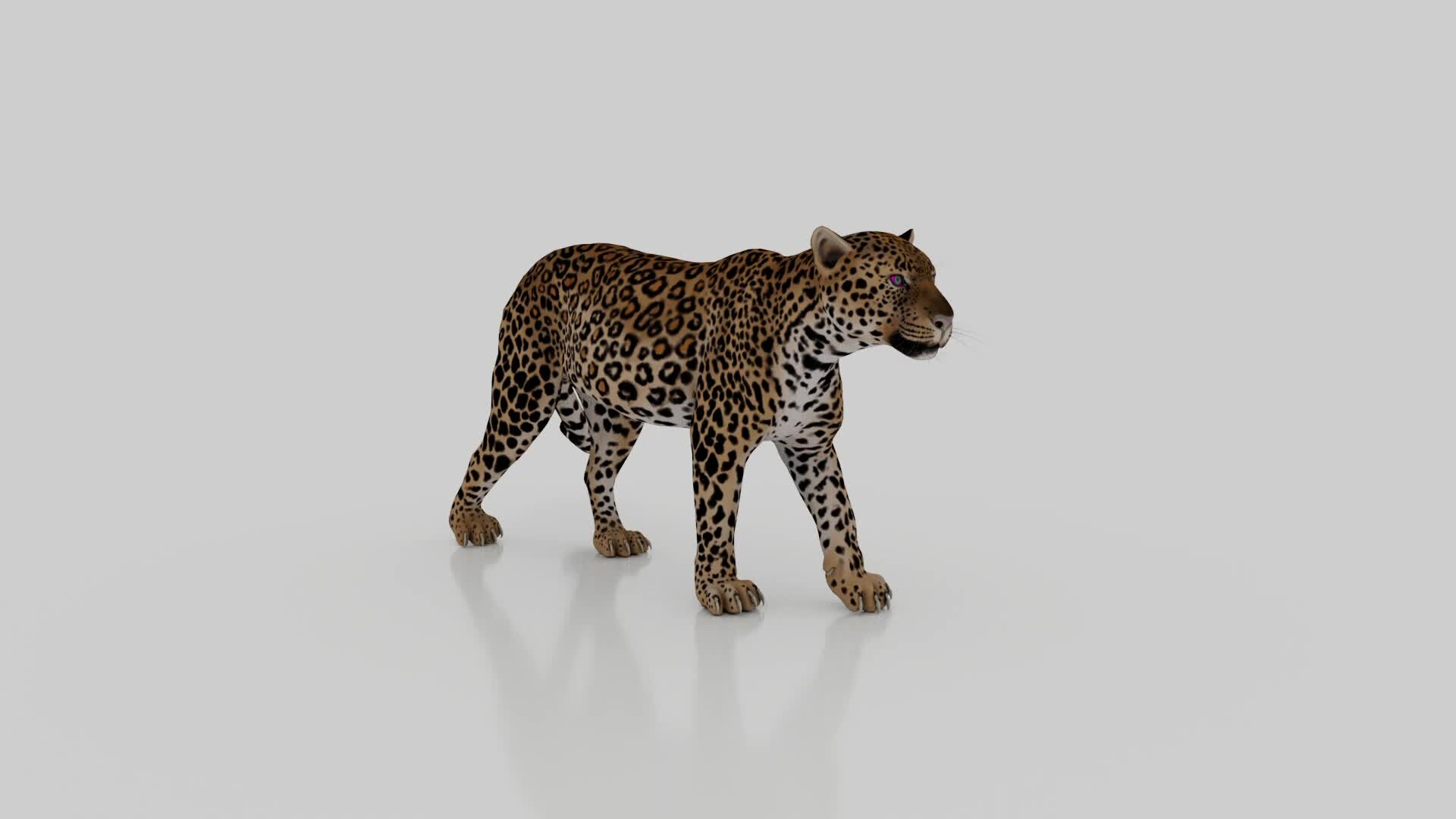 ArtStation - Leopard Walk Cycle