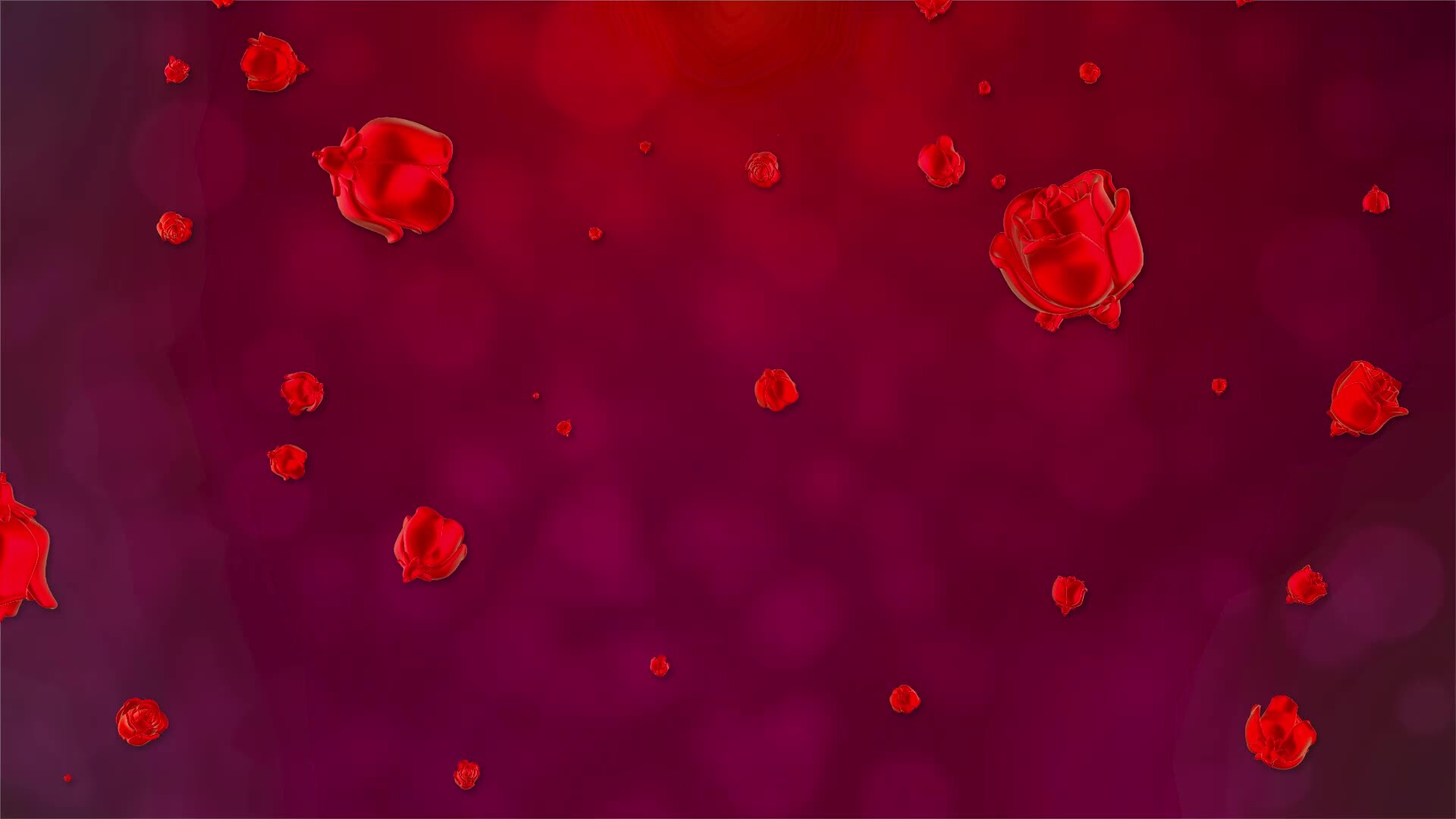 ArtStation - Particle Animation