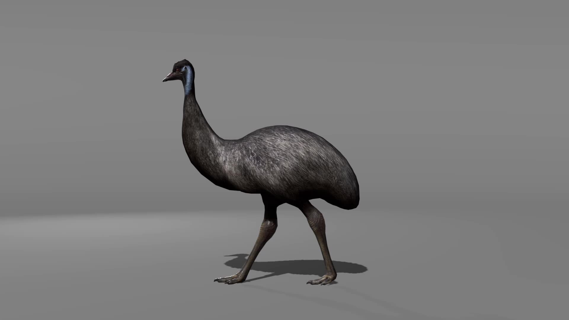 ArtStation - Emu 3D animations