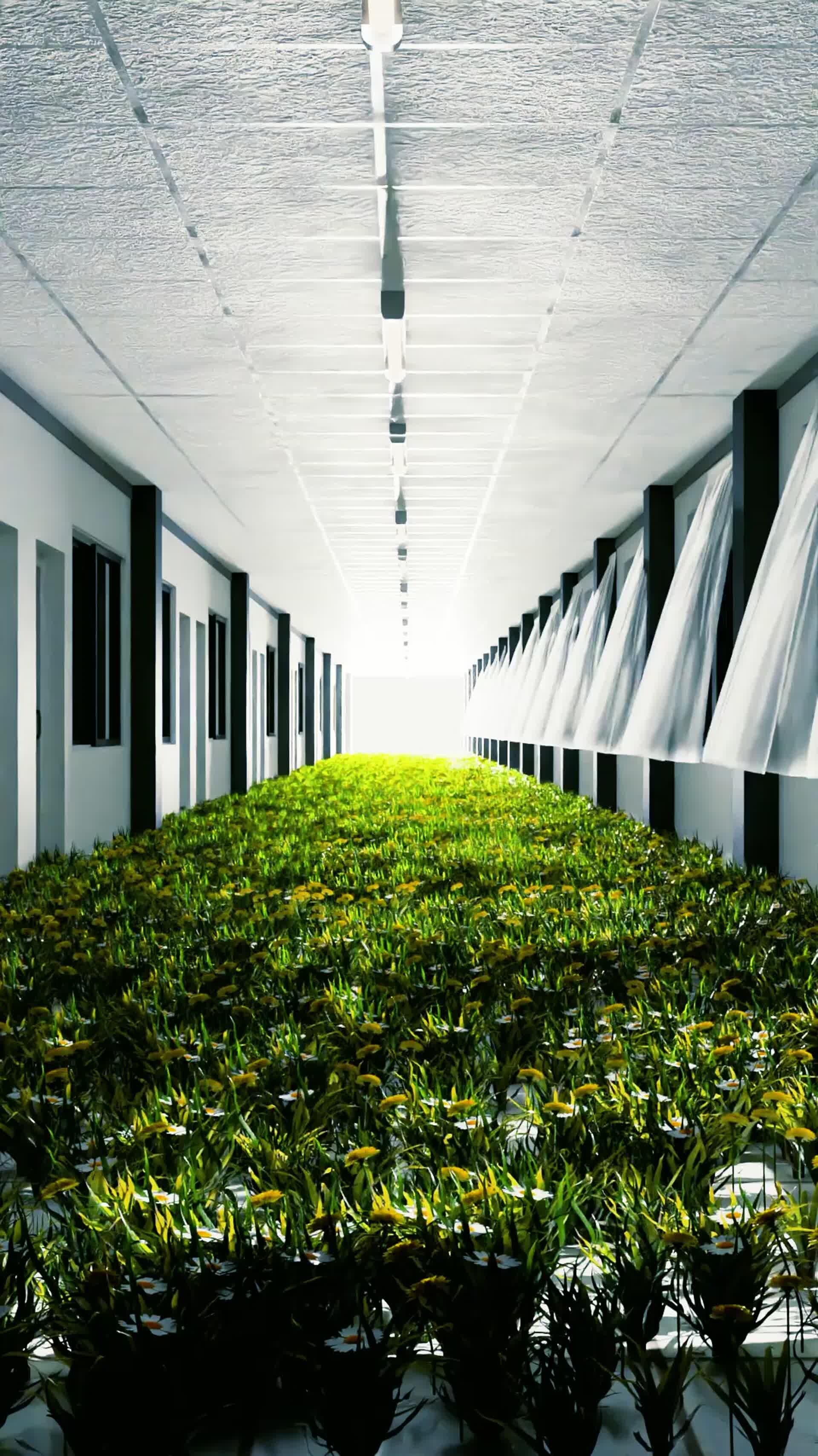 ArtStation - backroom style corridor