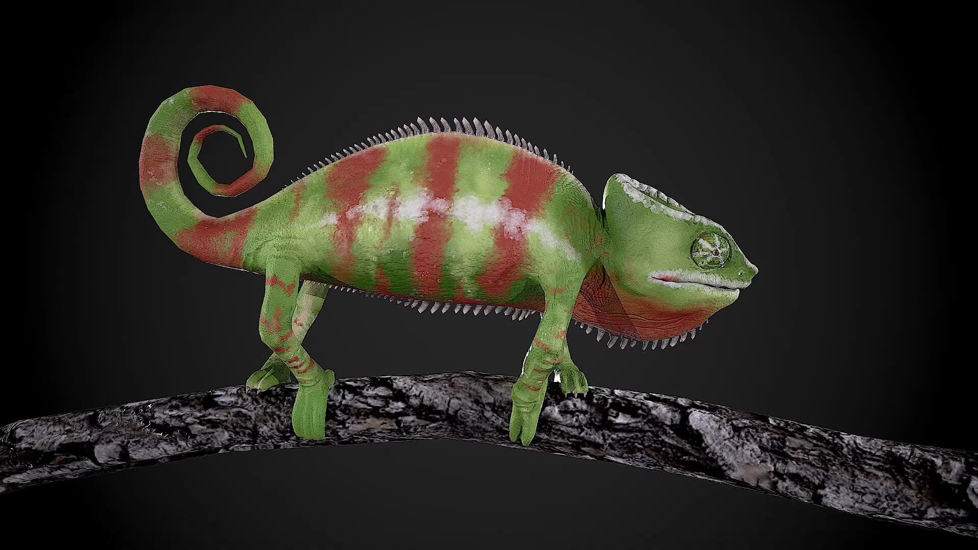 ArtStation - Chameleon 3D Model