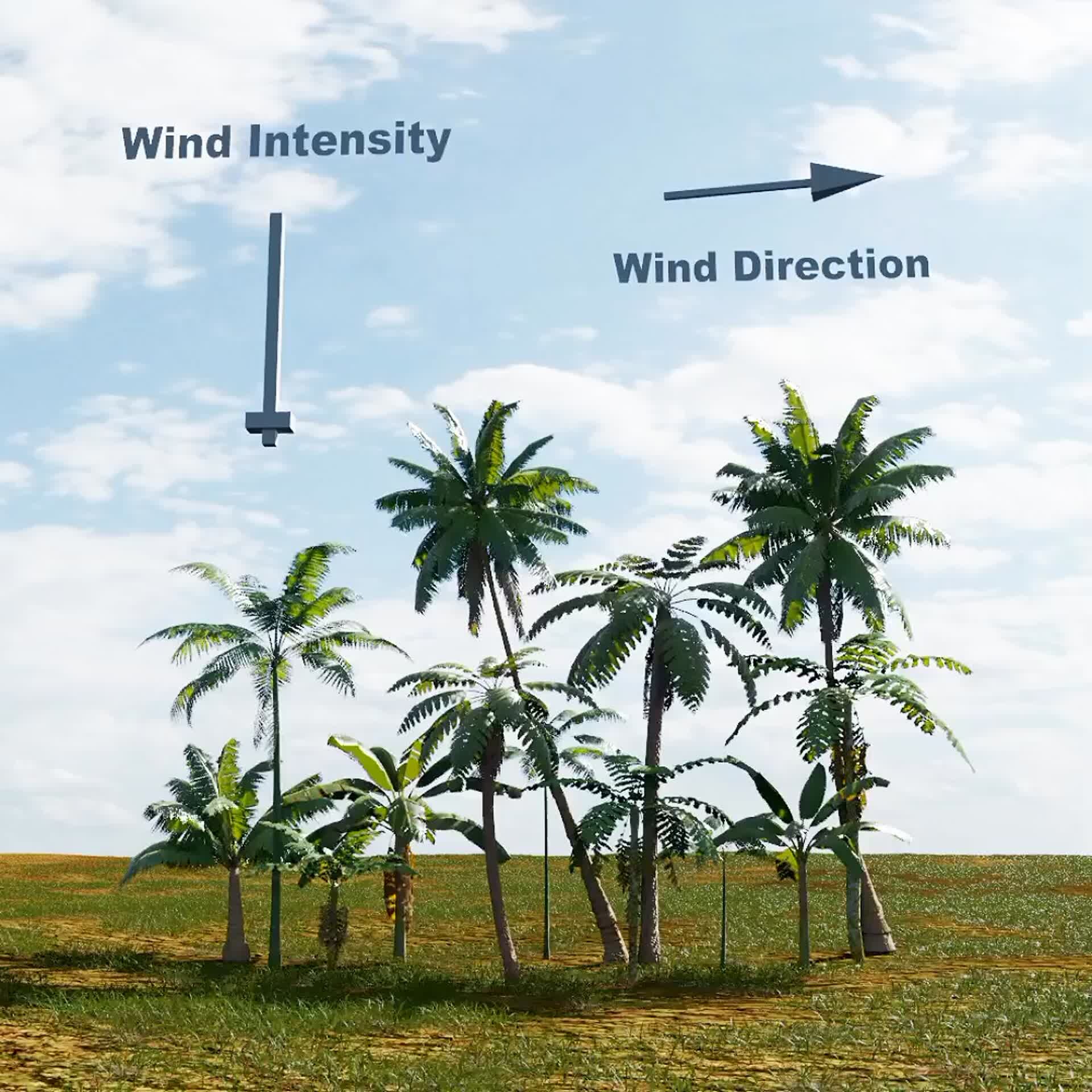 ArtStation - Dynamic Trees Wind Simulation
