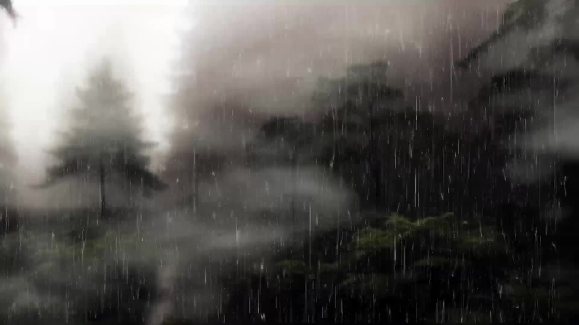 ArtStation - Rain in the forest