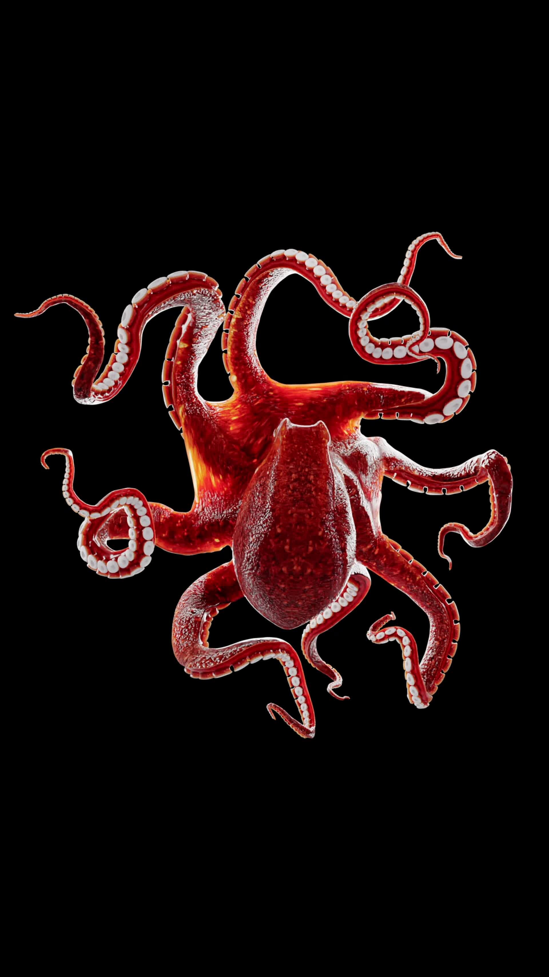 ArtStation - Octopus Portrait Series- No. 3