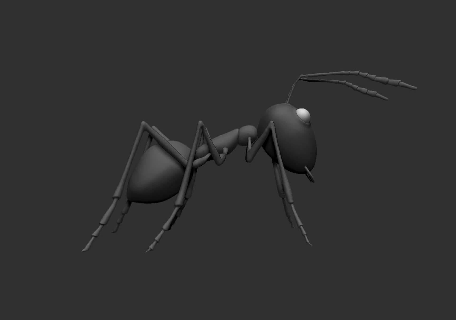 ArtStation - Minuscule ant
