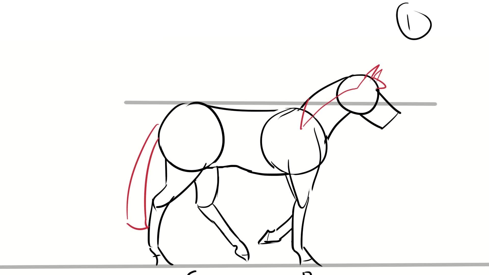 ArtStation - quadrupeds walk cycles 2D animation