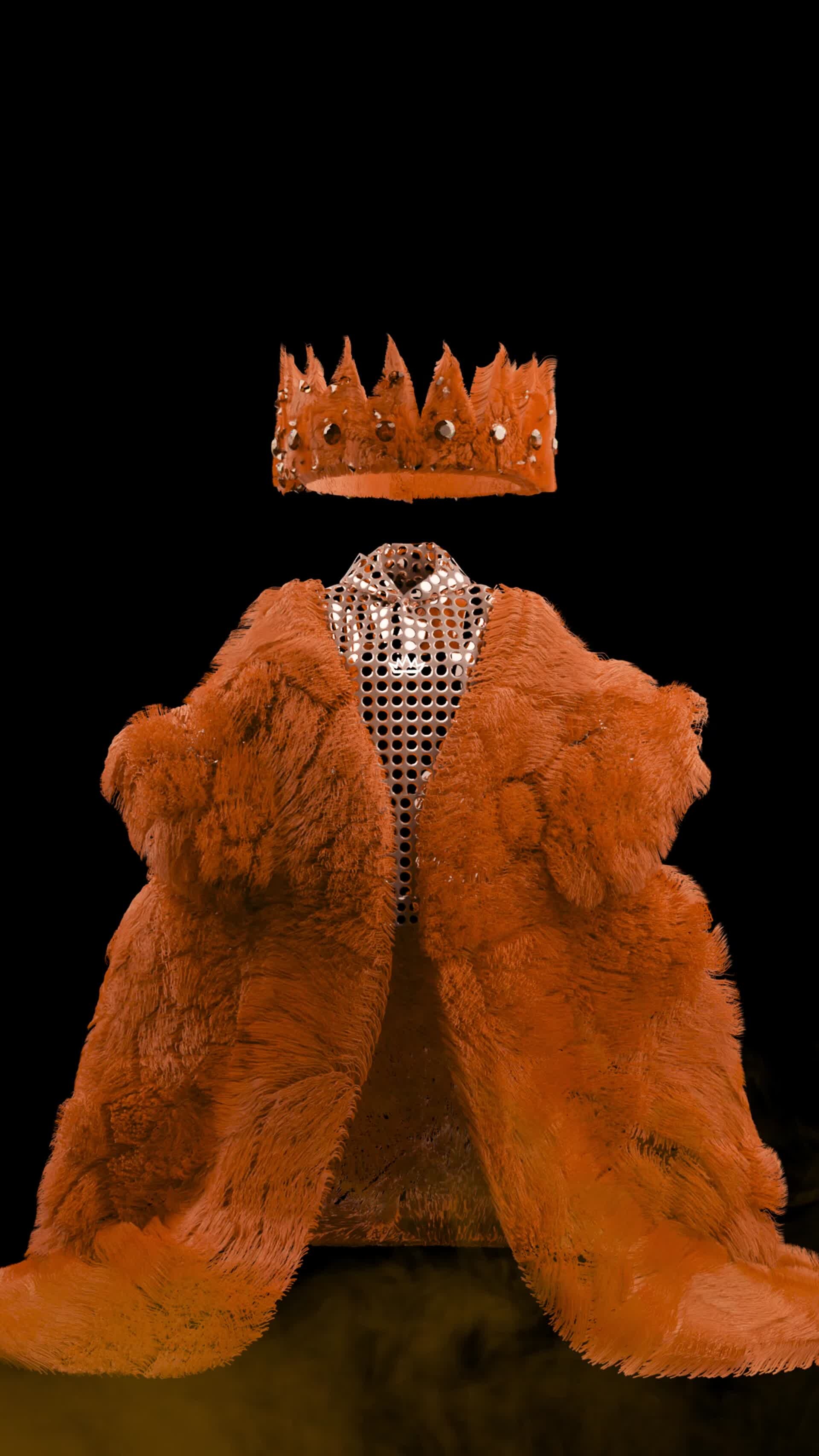 Sara Stamatovic - Extravagant 3D NFT Hoodie with accessories and animation