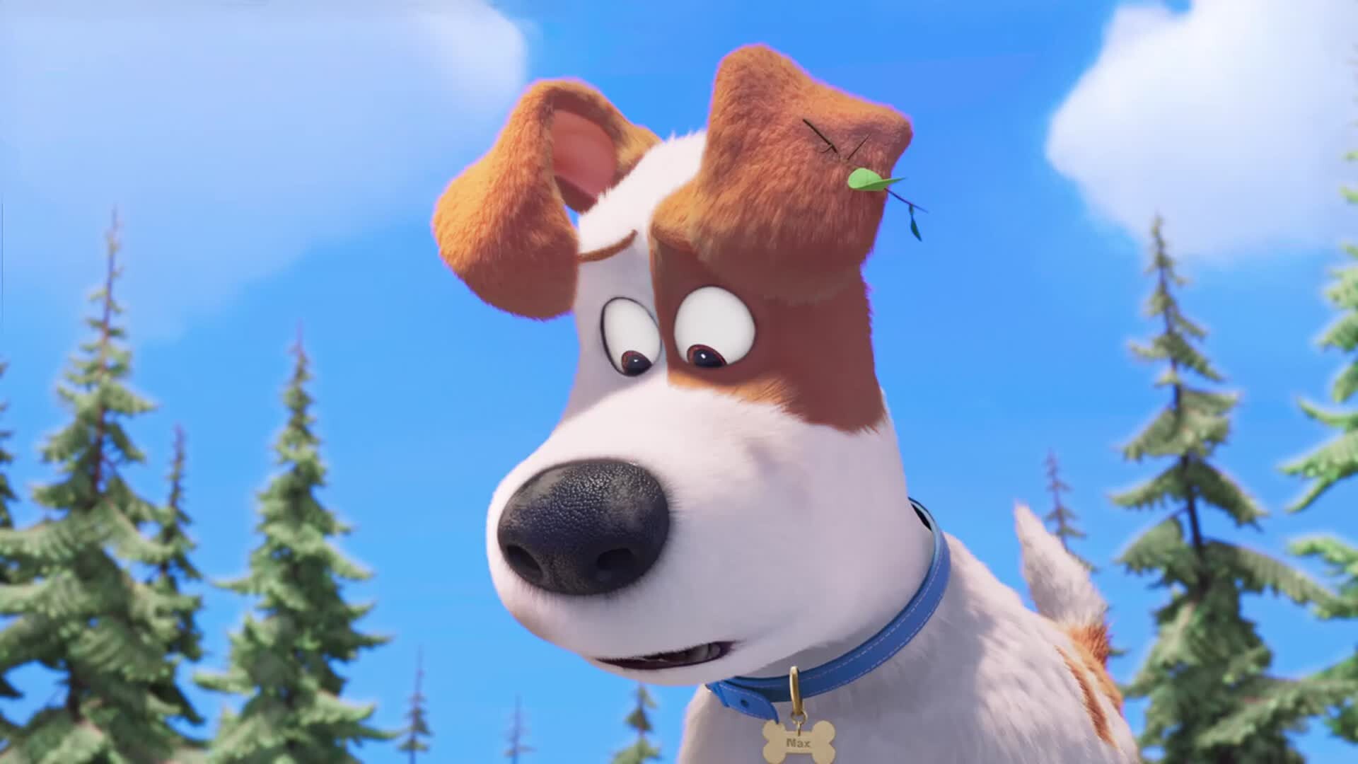 ArtStation - The Secret Life of Pets - Sequence Reproduction