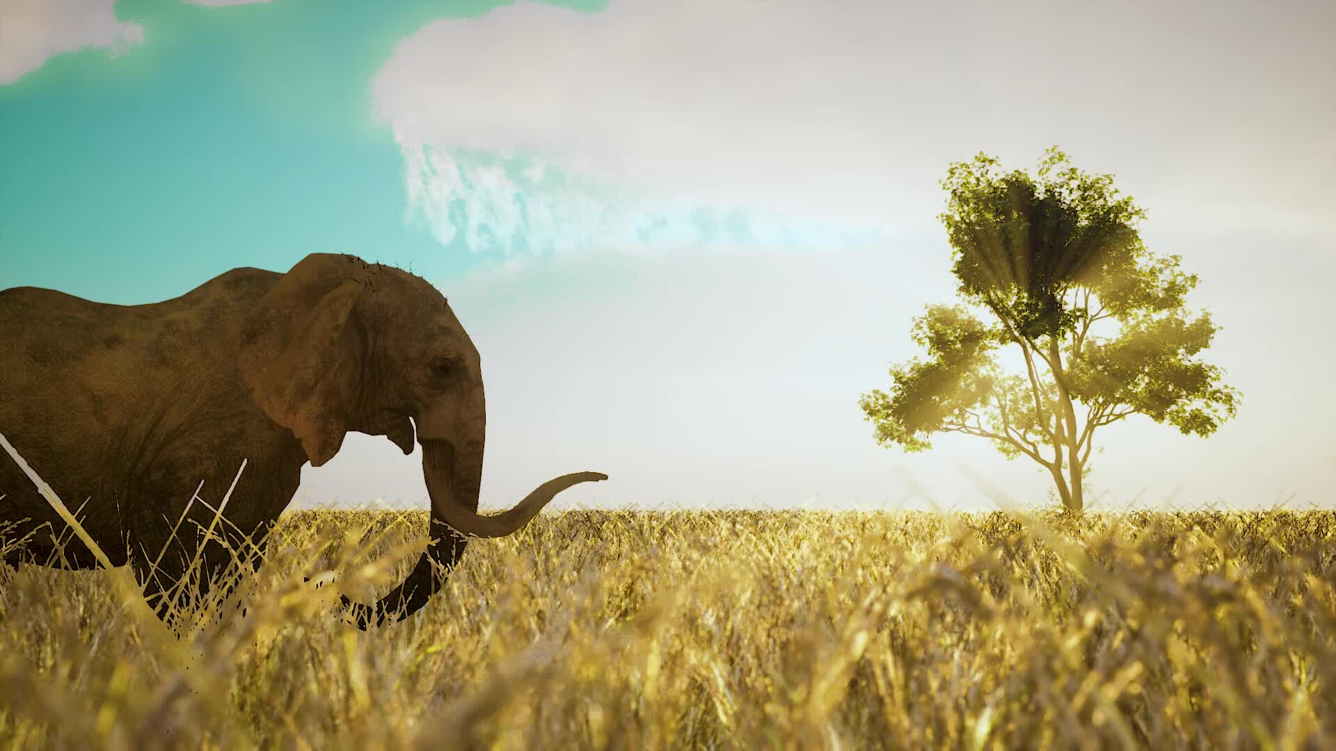 ArtStation - elephant animation