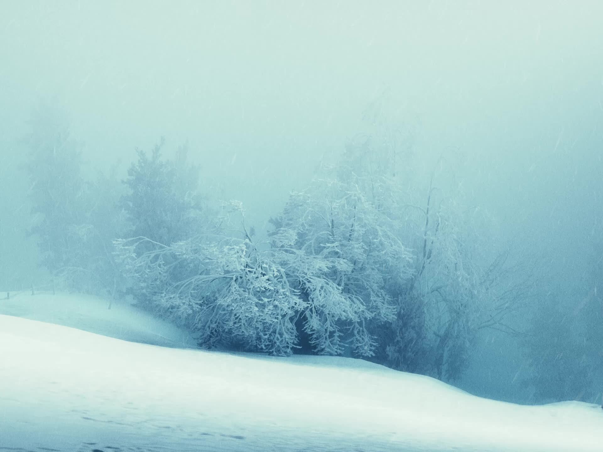 ArtStation - Winter Solace - Realism Study