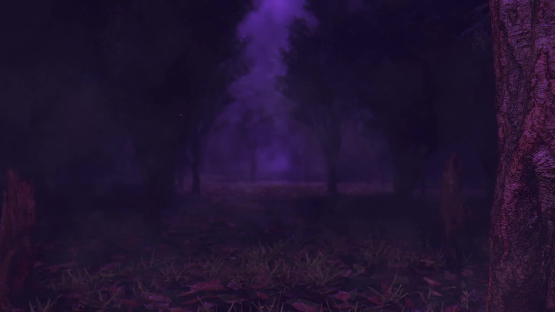 ArtStation - Intro Animations