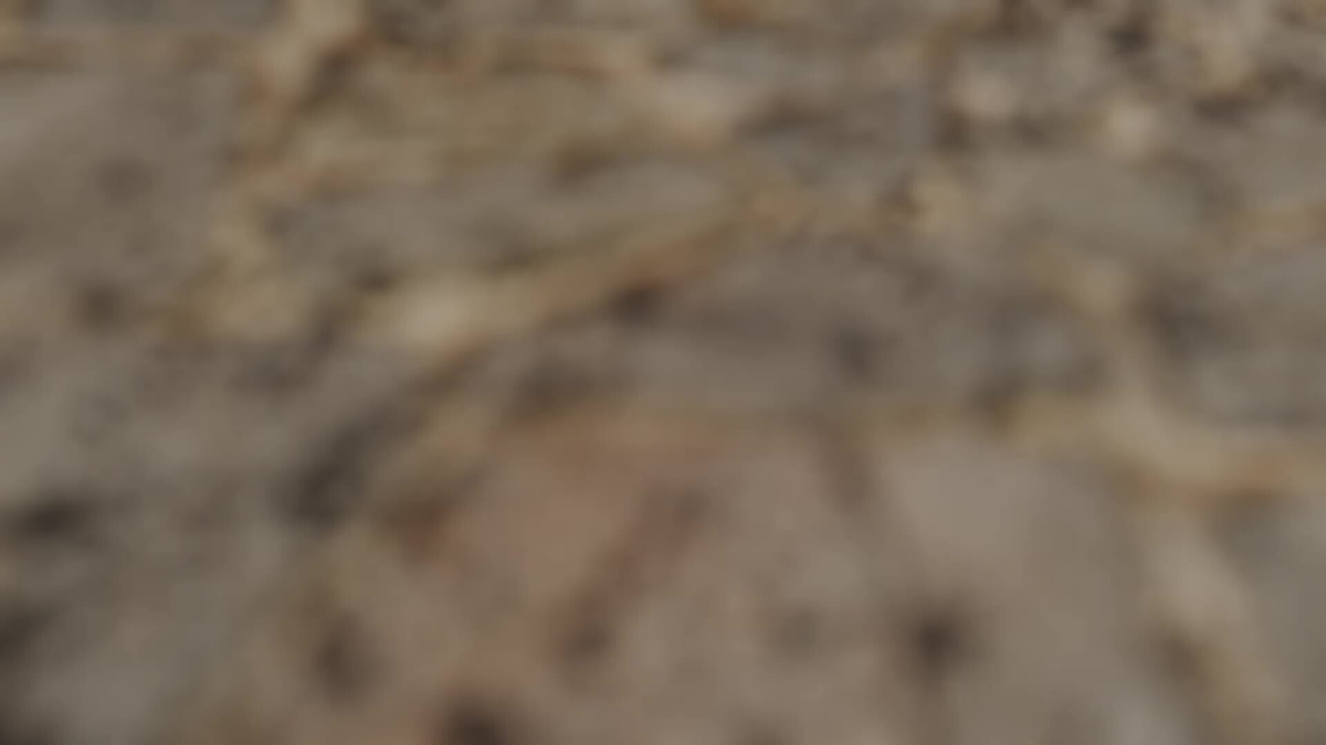 ArtStation - Cinematography attempt